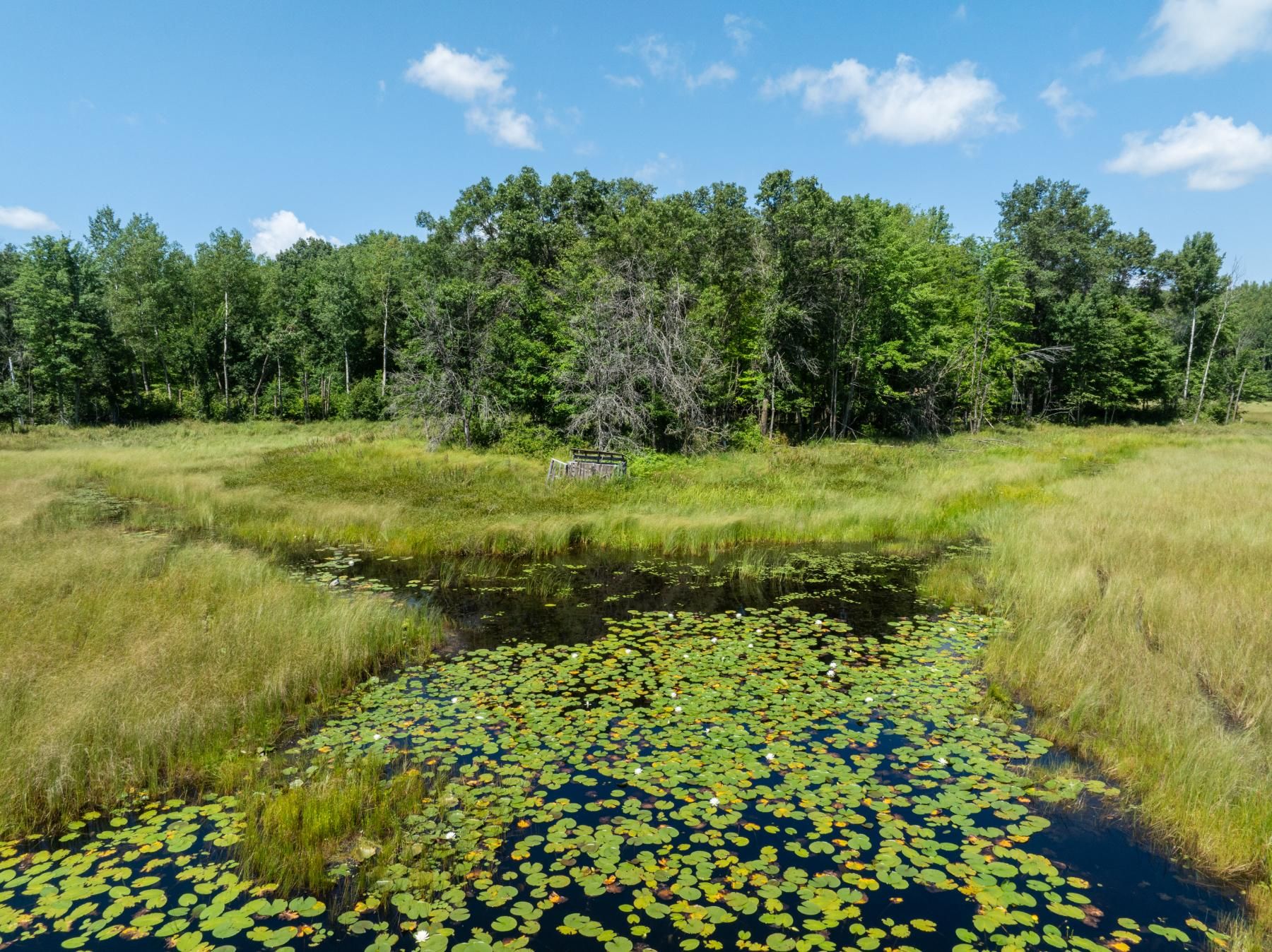 Alden Road, Webster, WI 54893 | LandWatch