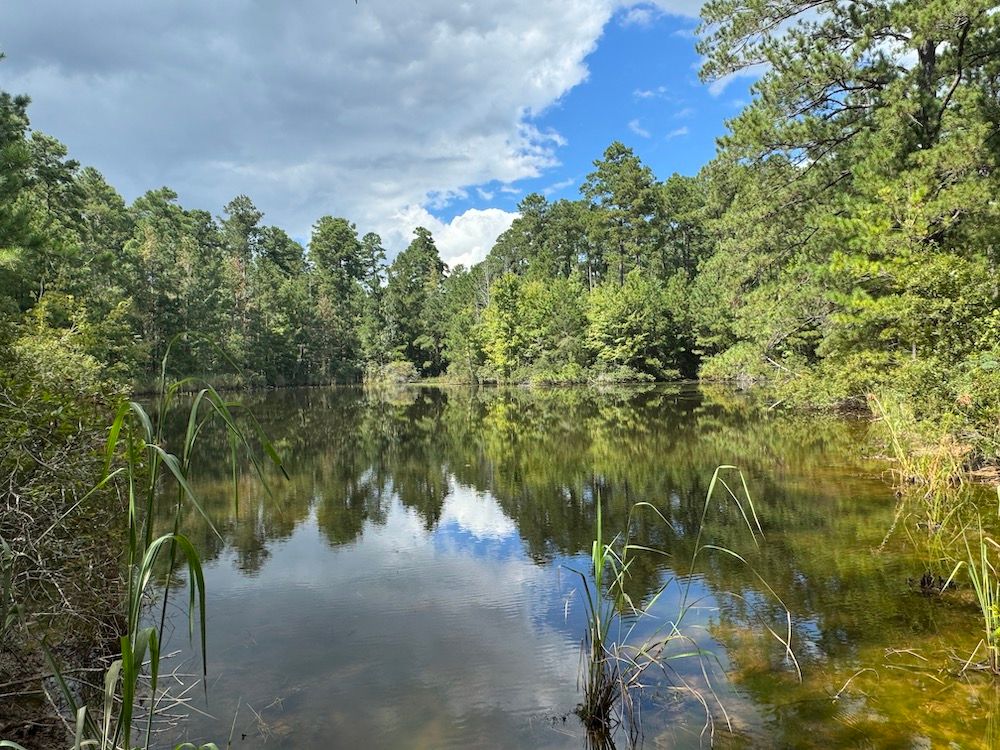 Highway 507 Lot wp004, Simsboro, LA 71275 | LandWatch