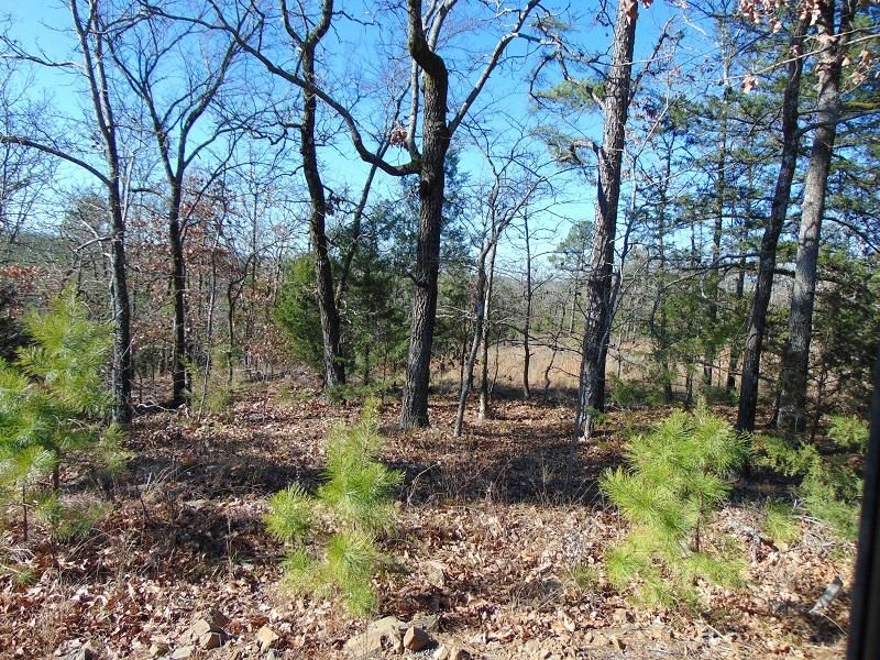 8 acres in Wister, OK, 74966 | LandWatch