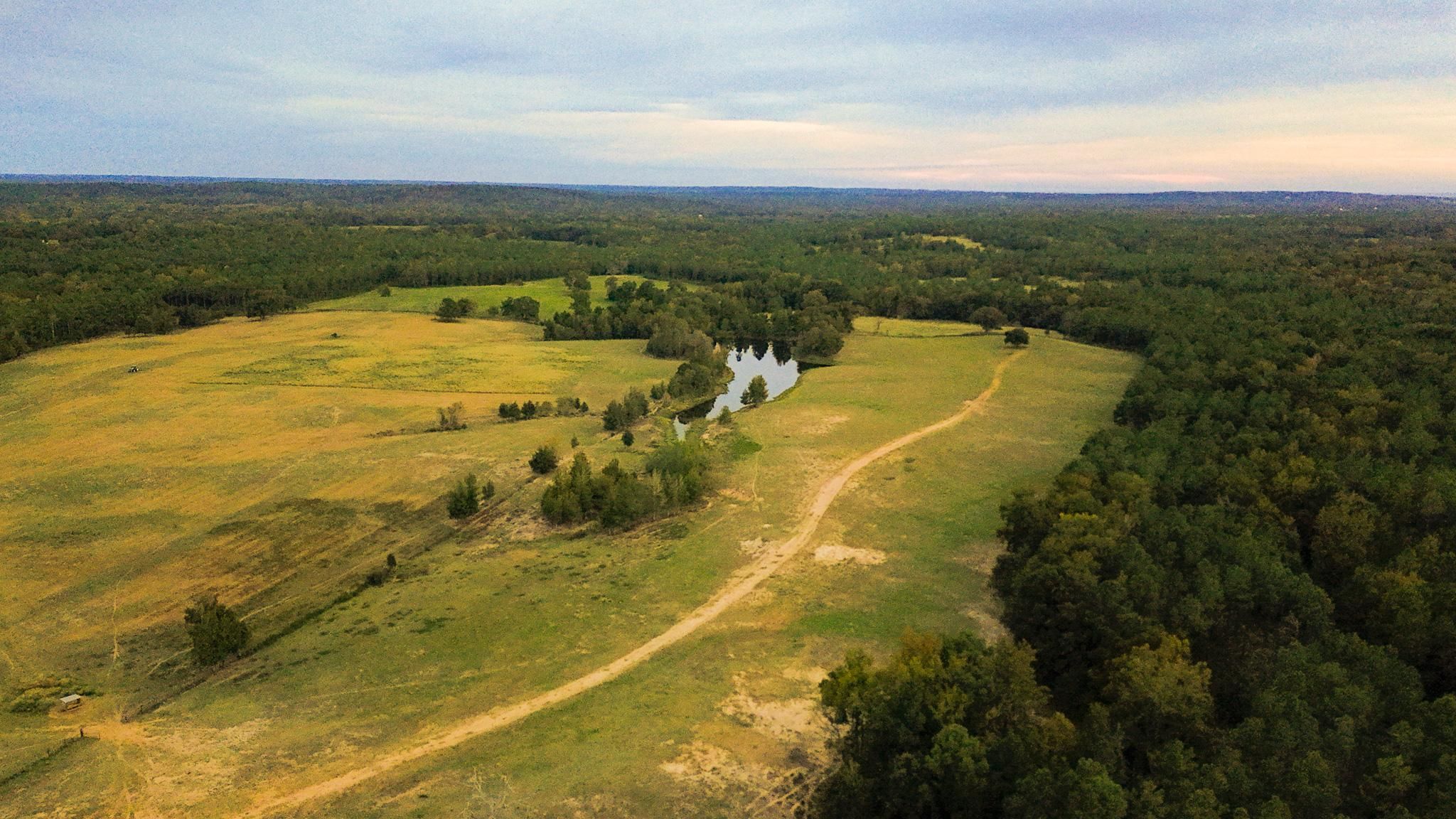 891 County Road 139, Palestine, TX 75801 | LandWatch