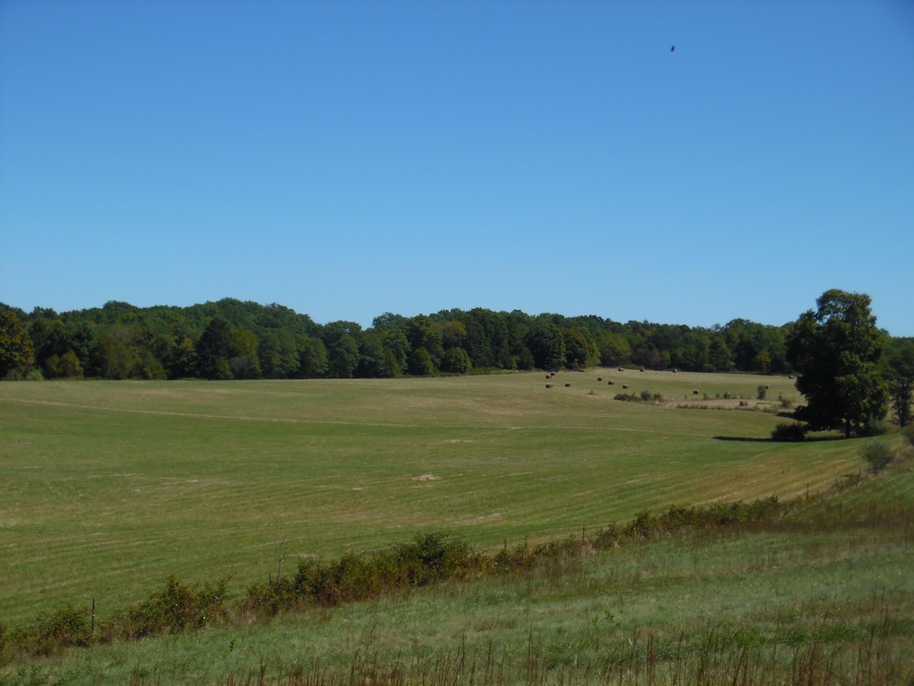 125l The Pines Drive, Marlinton, WV 24954 | MLS: 24-1173 | LandWatch