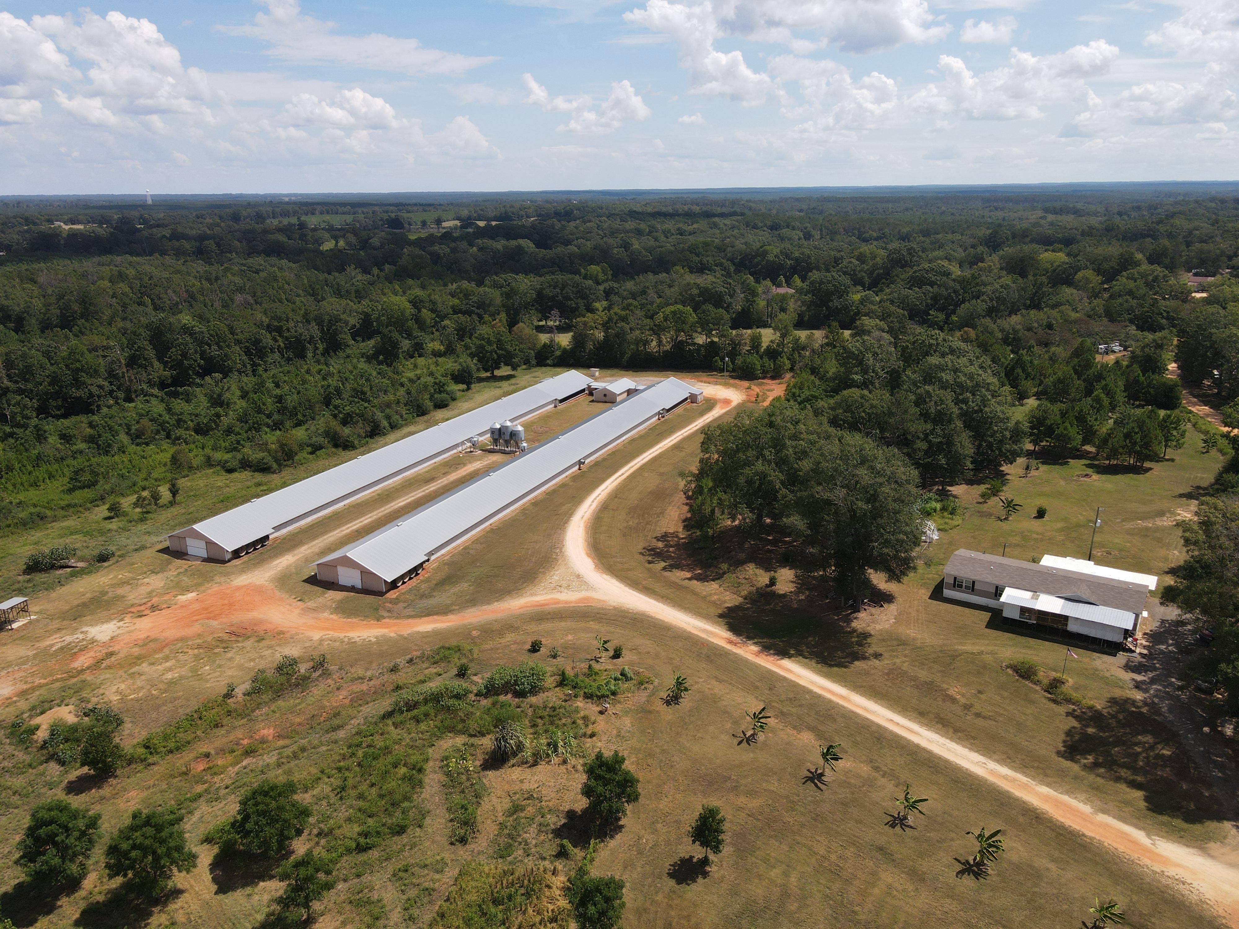 14 acres in Evergreen, AL, 36401 | LandWatch