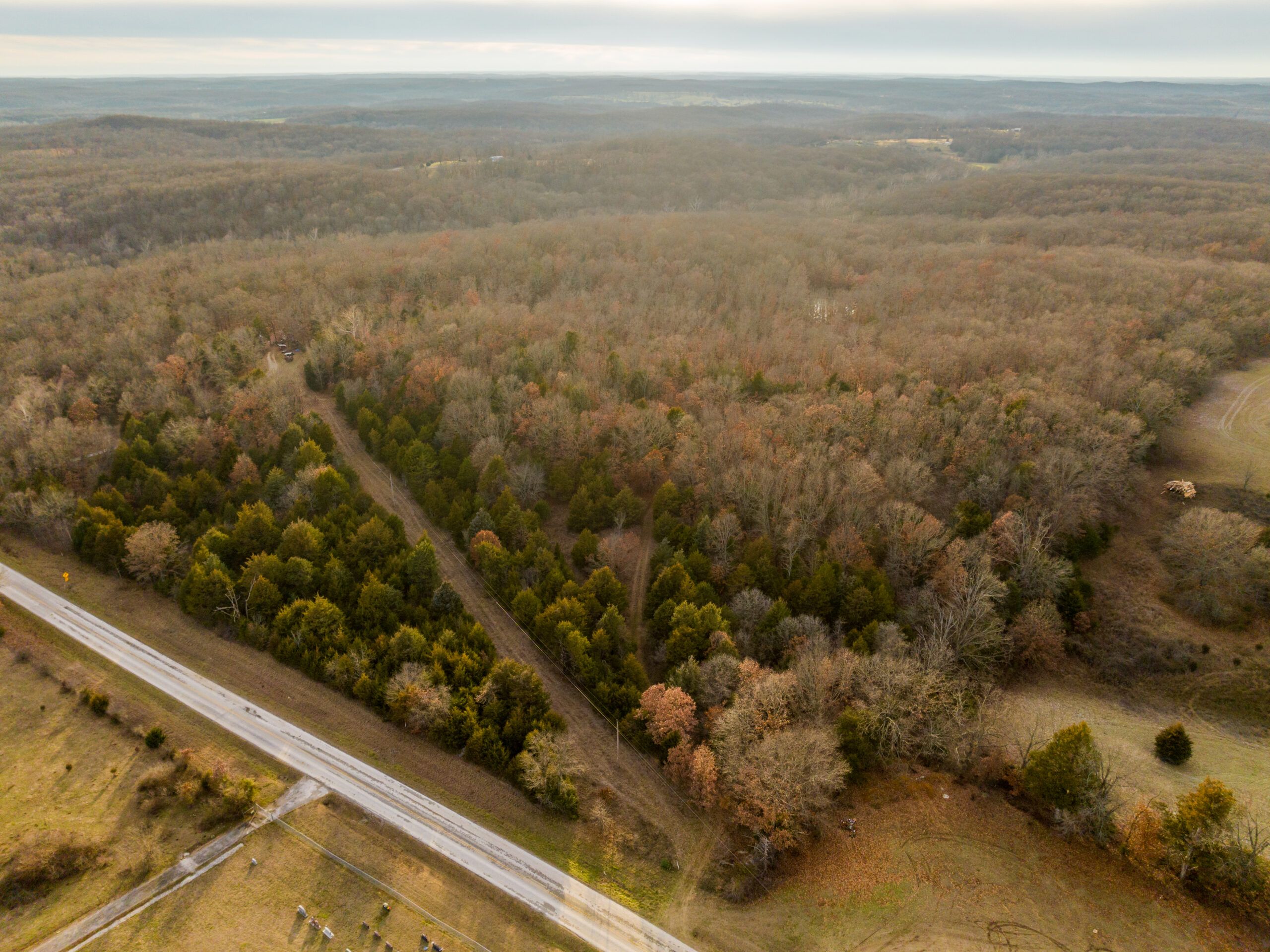 Southeast PP Highway, Collins, MO 64738 | MLS: Saint Clair 155 | LandWatch