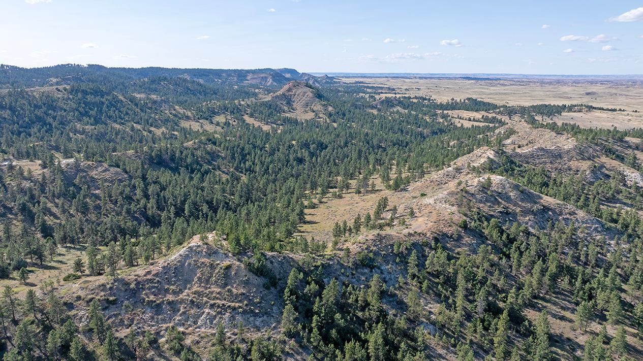 100 Stacey Rd, Volborg, MT 59351 | MLS: Castle Rock Ranch | LandWatch