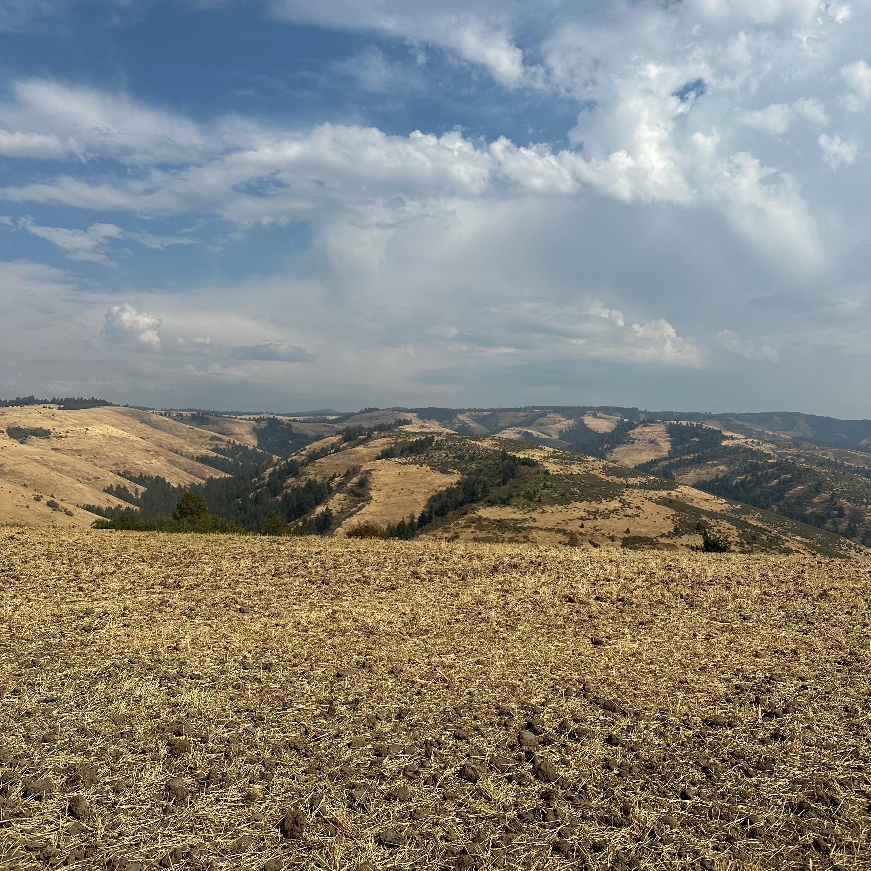 Spring Creek Road, Waitsburg, WA 99361 | MLS: 2288631 | LandWatch