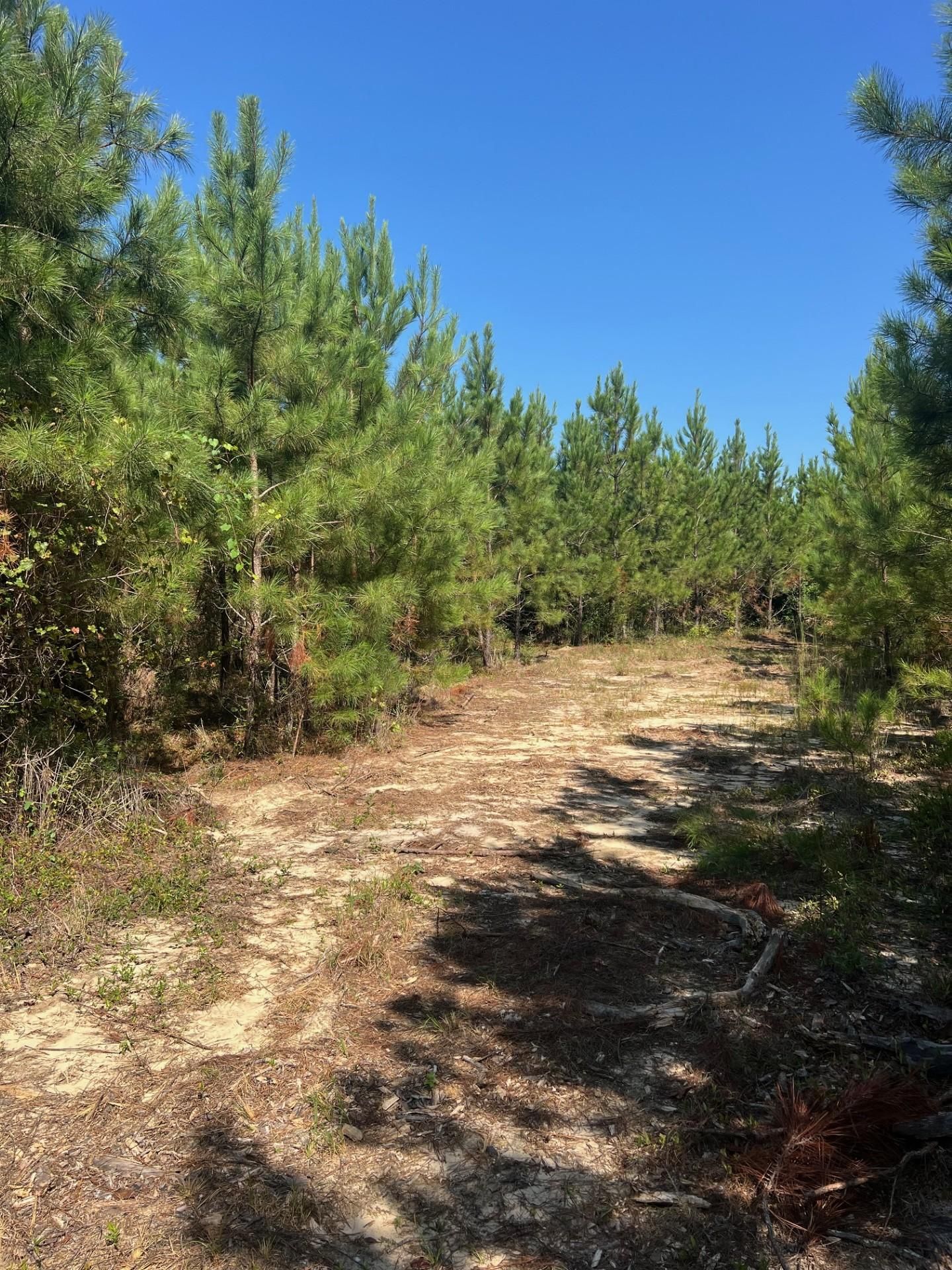 112.24 acres in White City, AL, 36067 | MLS: Autauga112 | LandWatch