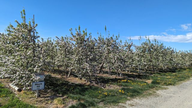 23275 Road I Southwest, Mattawa, WA 99349 | LandWatch