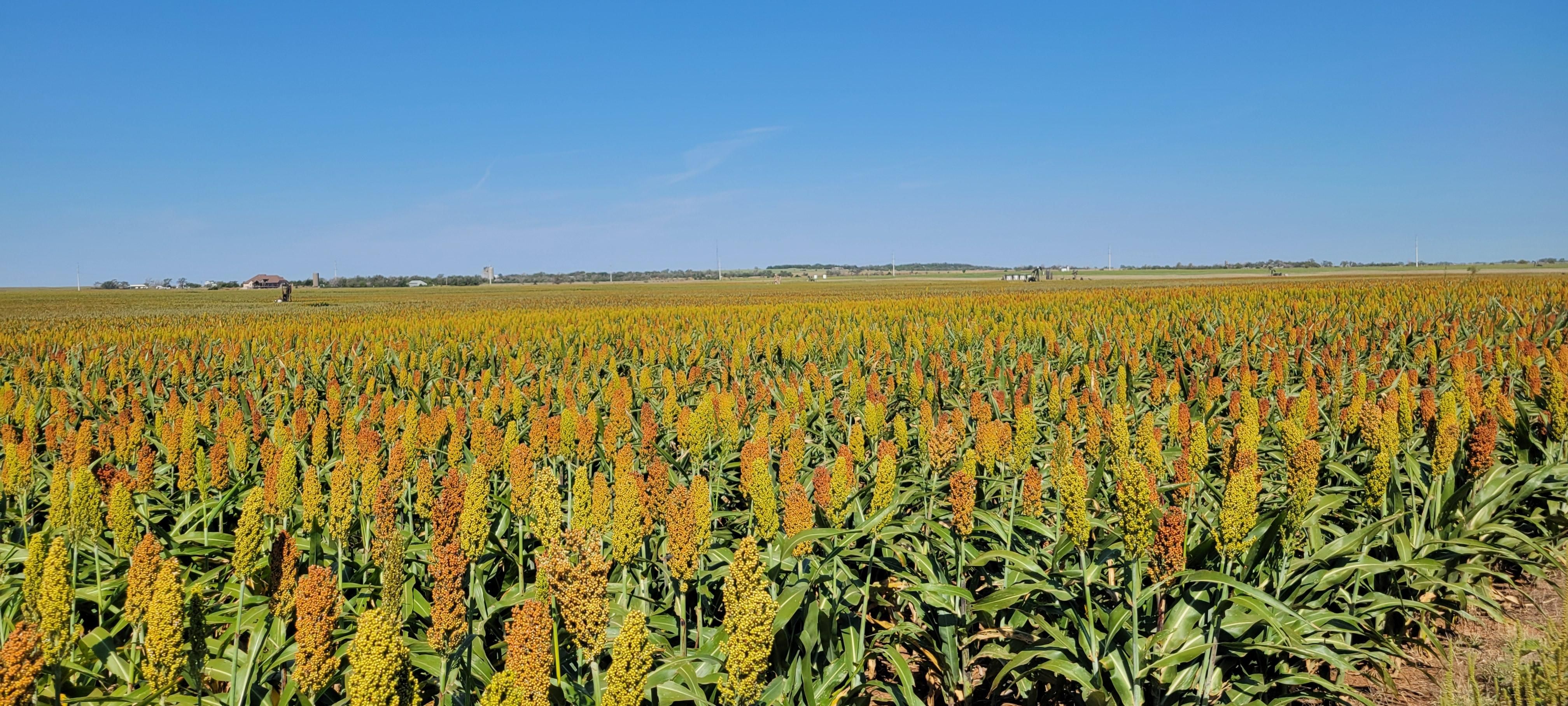 Southeast 30th Street, Murdock, KS 67111 | LandWatch