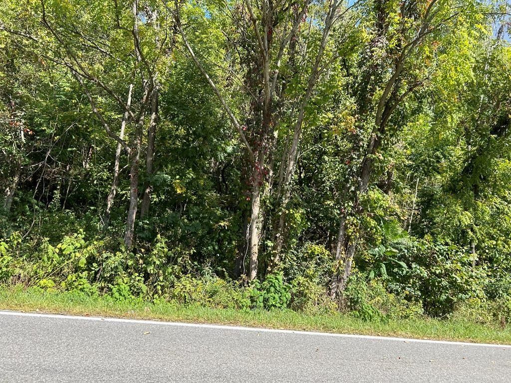 Tbd Stoney Ridge Rd, Bandy, VA 24602 | MLS: 97356 | LandWatch