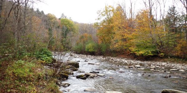 149 Mine Road, Strafford, VT 05070 | LandWatch