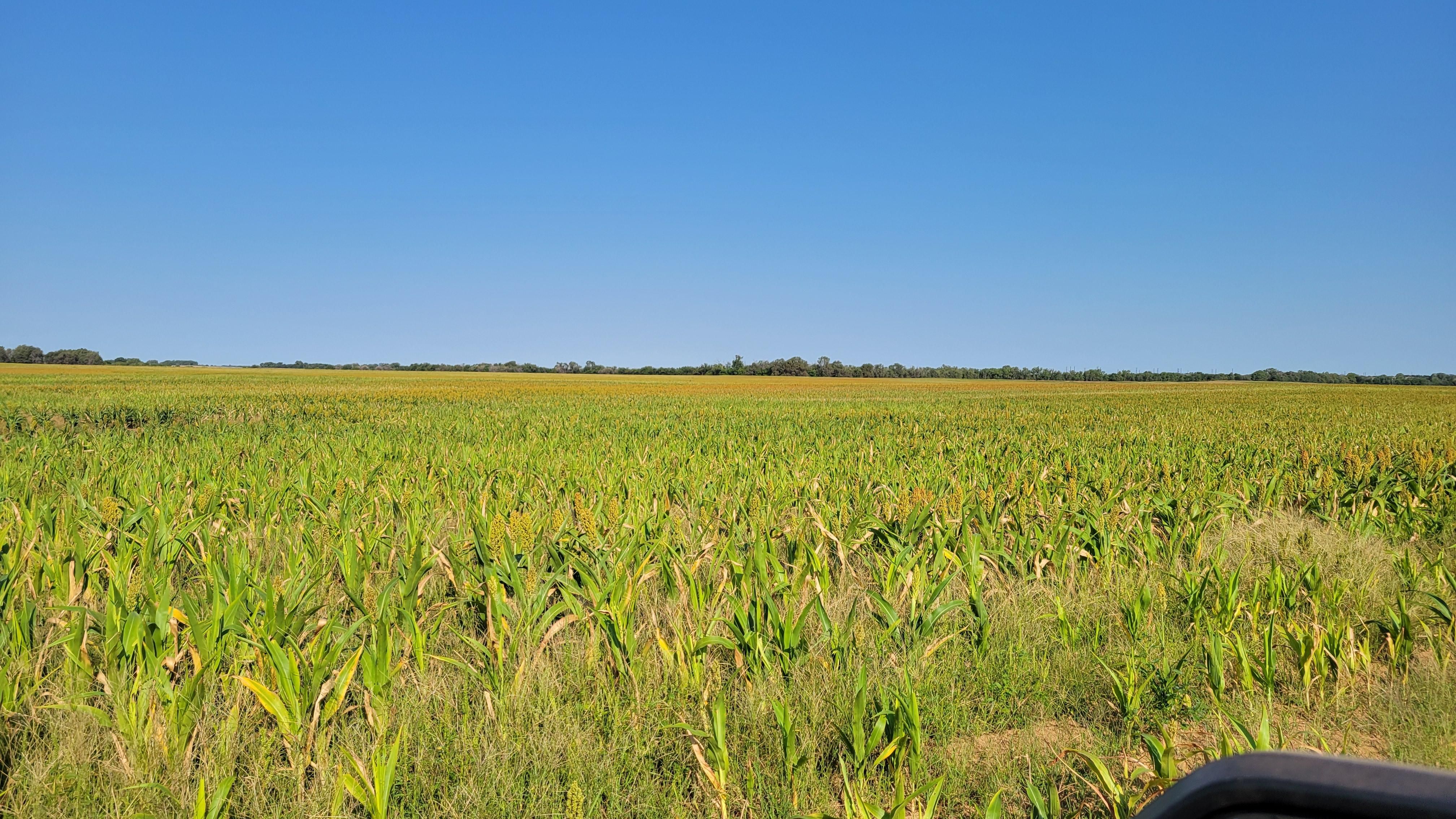 160 acres in Sharon, KS, 67138 | LandWatch