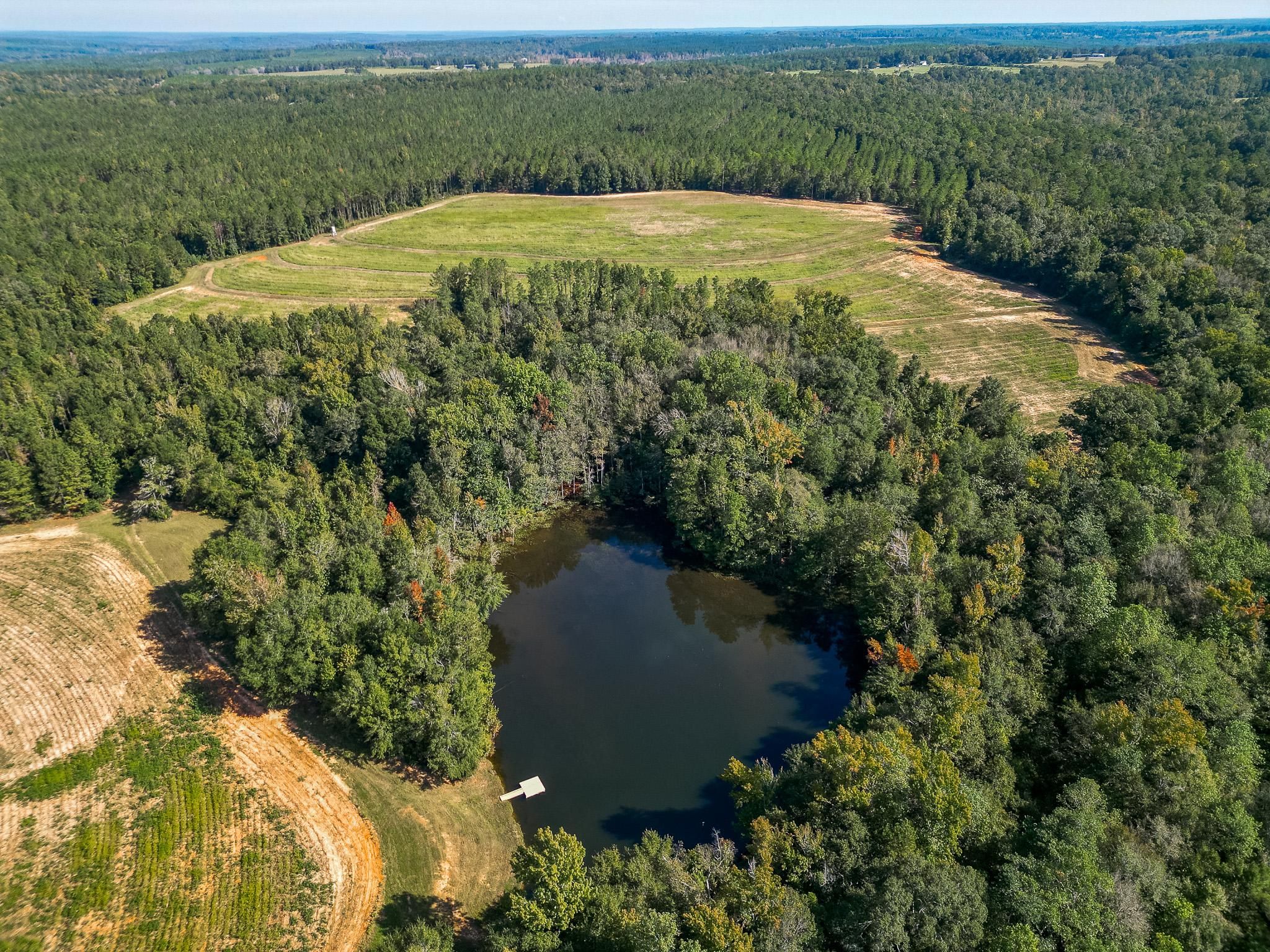 Wilson Pond Road, Preston, GA 31824 | LandWatch