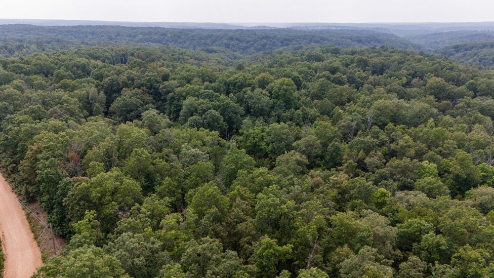 000 County Road 9065A, Powell, MO 65730 | MLS: McDonald 19.5 | LandWatch