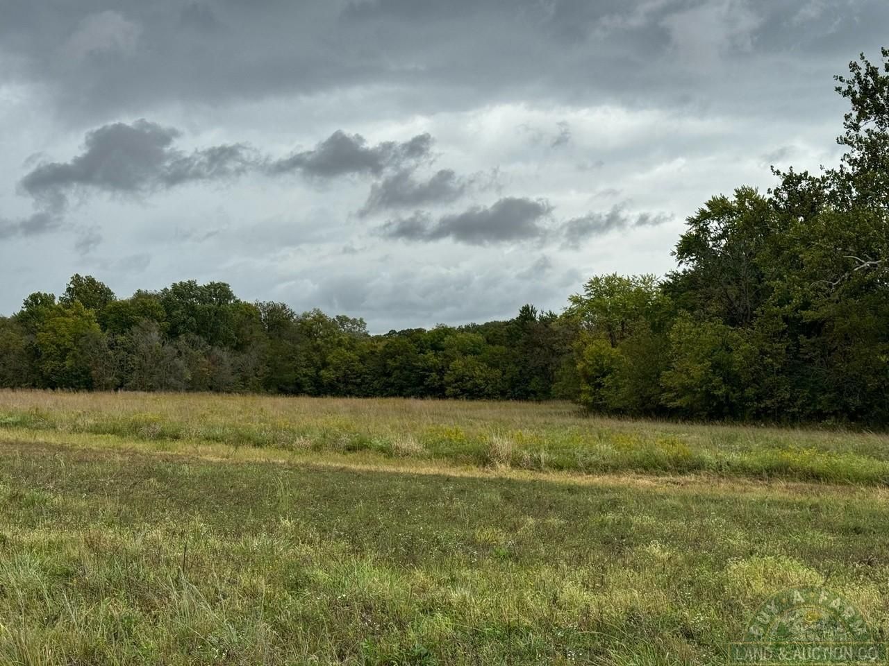 1300th East, Cowden, IL 62422 | LandWatch