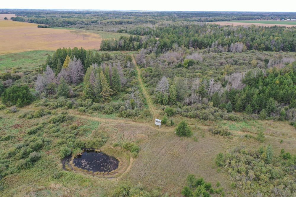 TBD 284th Street, Lot#WP001, Sebeka, MN 56477 | LandWatch