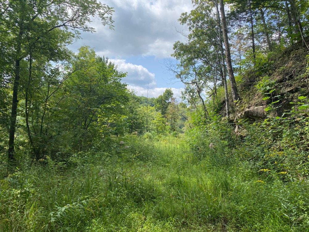 Puncheon Creek Road Lot# WP001, Jackson, KY 41339 | LandWatch