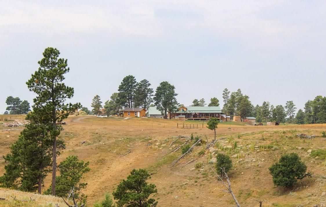 371 D4 Ln, Hulett, WY 82720 | LandWatch