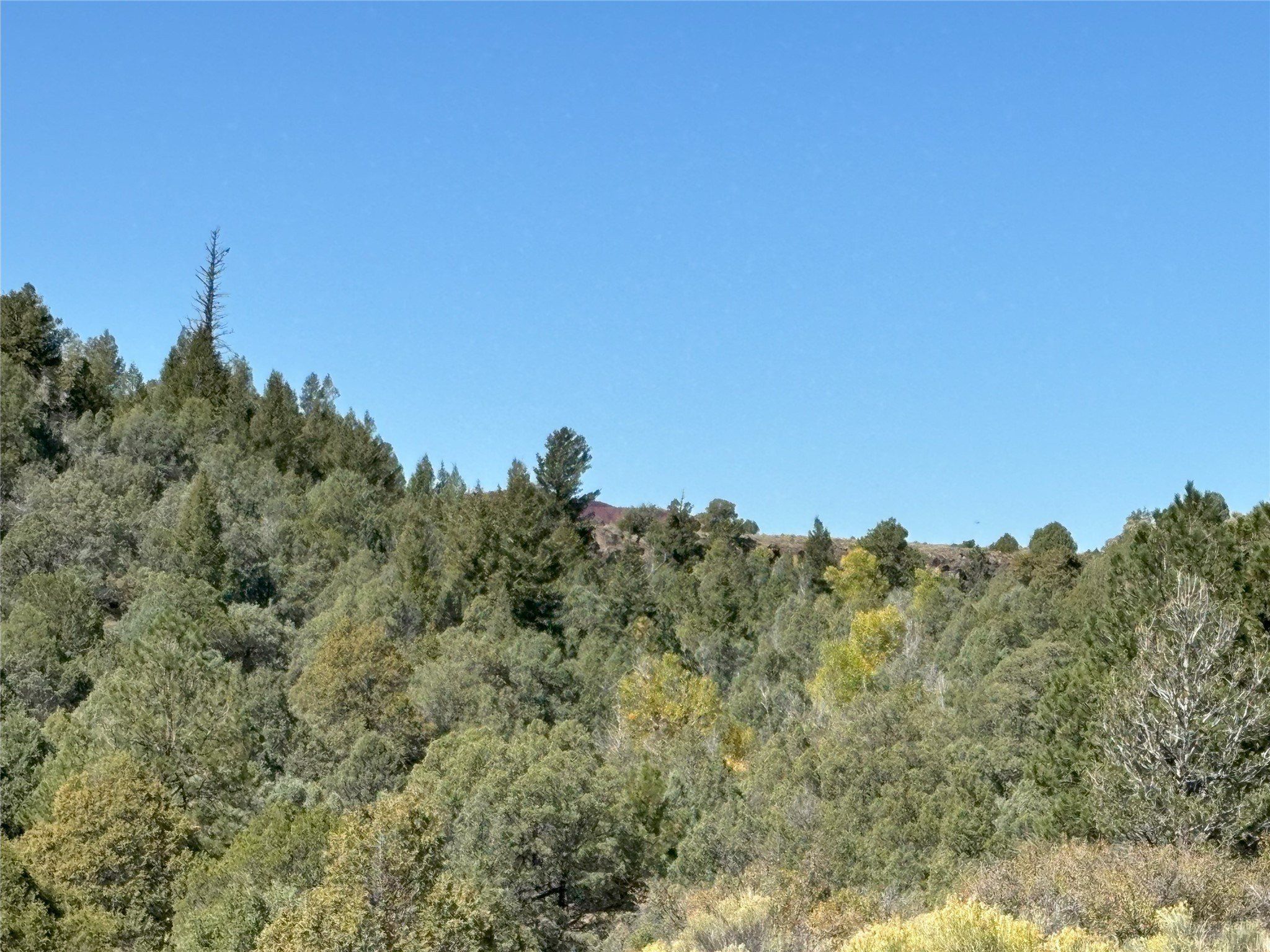 Tbd Highway 285, Tres Piedras, NM 87577 | MLS: 202404114 | LandWatch