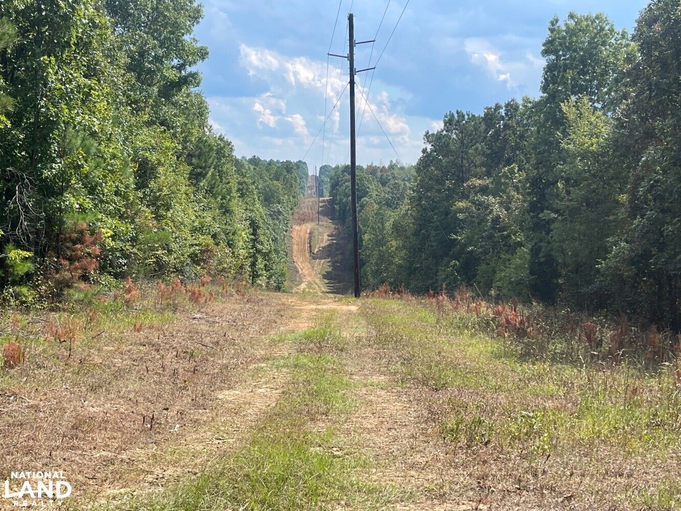 0 Highway 107, Guin, AL 35563 | LandWatch