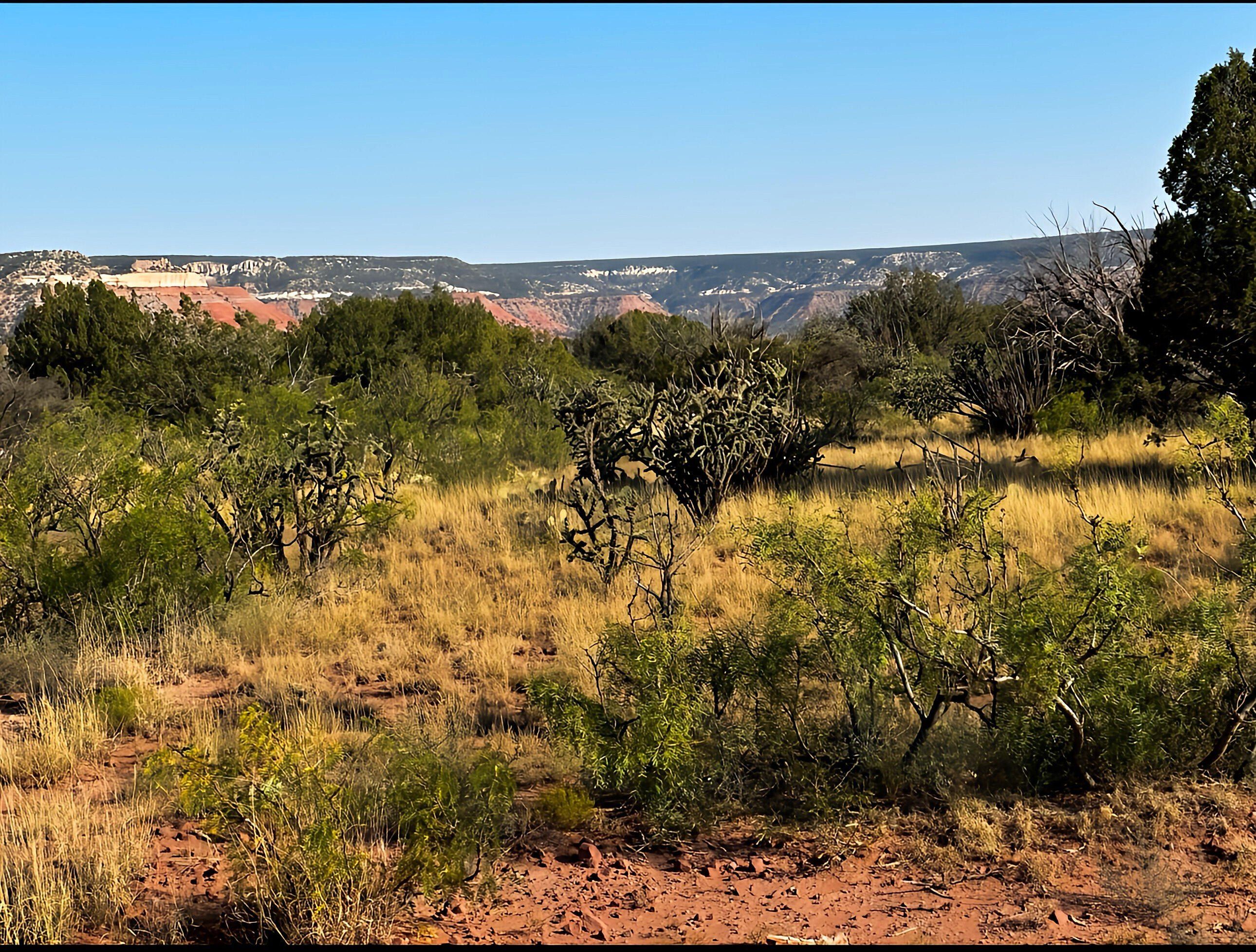 54 BULL CANYON LOOP, Newkirk, NM 88431 | MLS: 1071350 | LandWatch