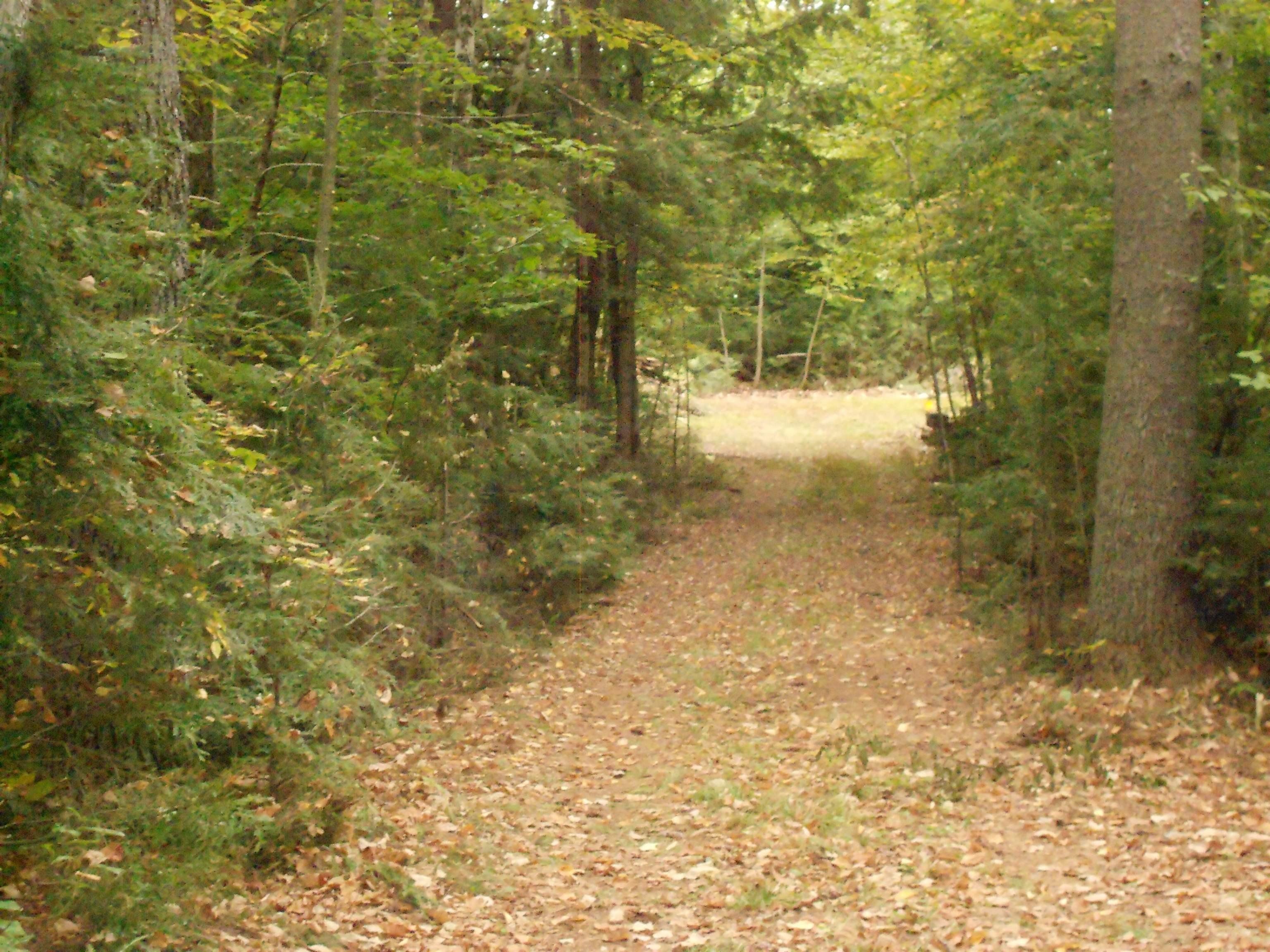 Lot 2 Holmes Road, Barnstead, NH 03225 | MLS: 5016433 | LandWatch