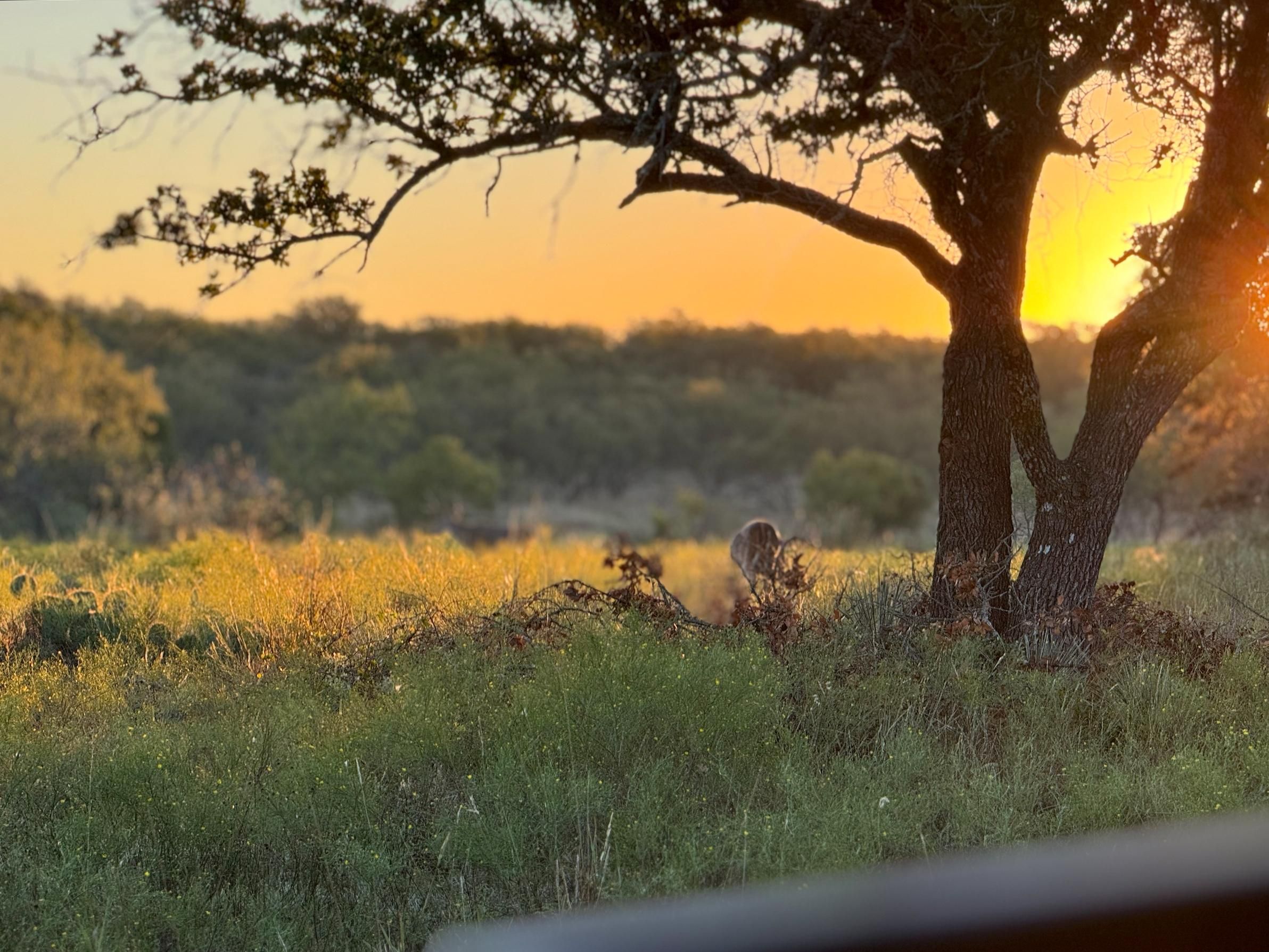 70 acres in Brady, TX, 76825 | LandWatch