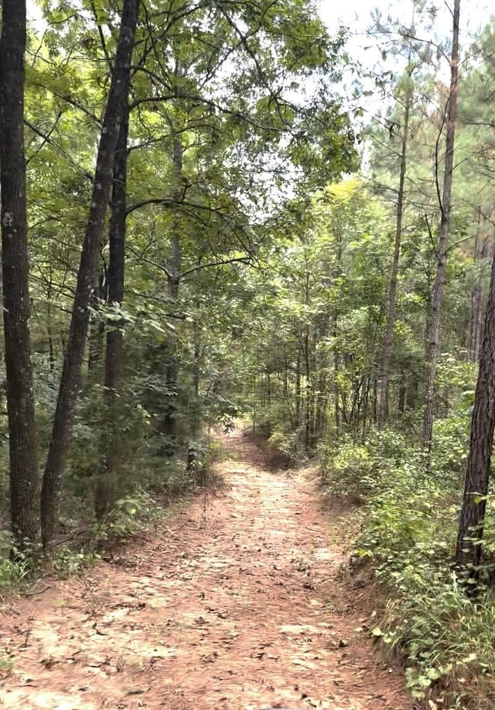 000 County Road 6645, Banks, AL 36005 | MLS: 200137 | LandWatch