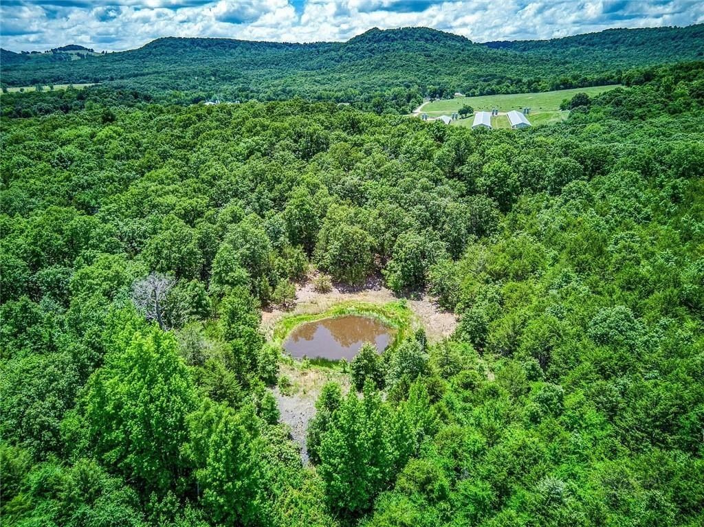 CR 9204, Alpena, AR 72611 | MLS: 1288091 | LandWatch