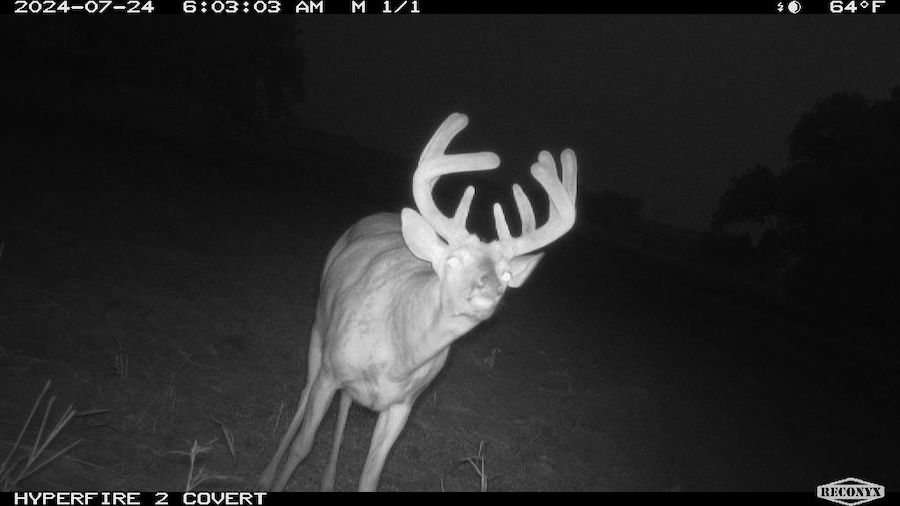 Highway 9, Lot#WP001, Lenora, KS 67645 | LandWatch