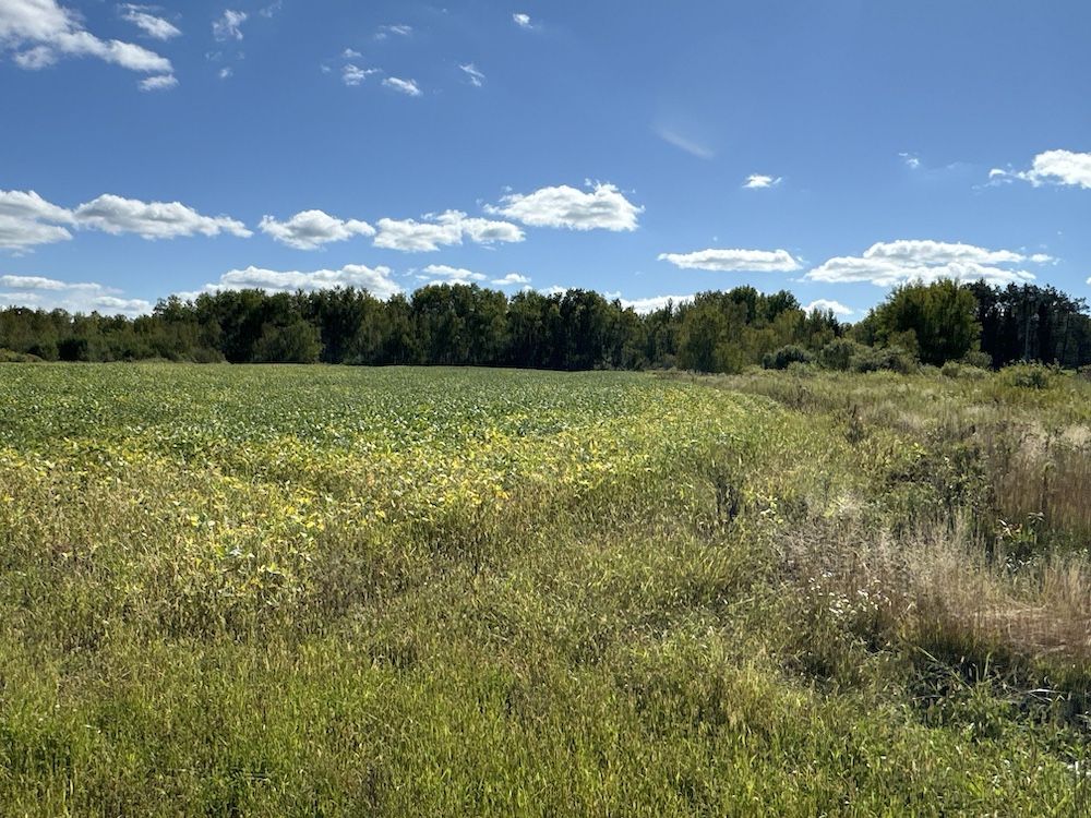 N2XXX County Road H, Stanley, WI 54768, Stanley, WI 54768 | MLS ...