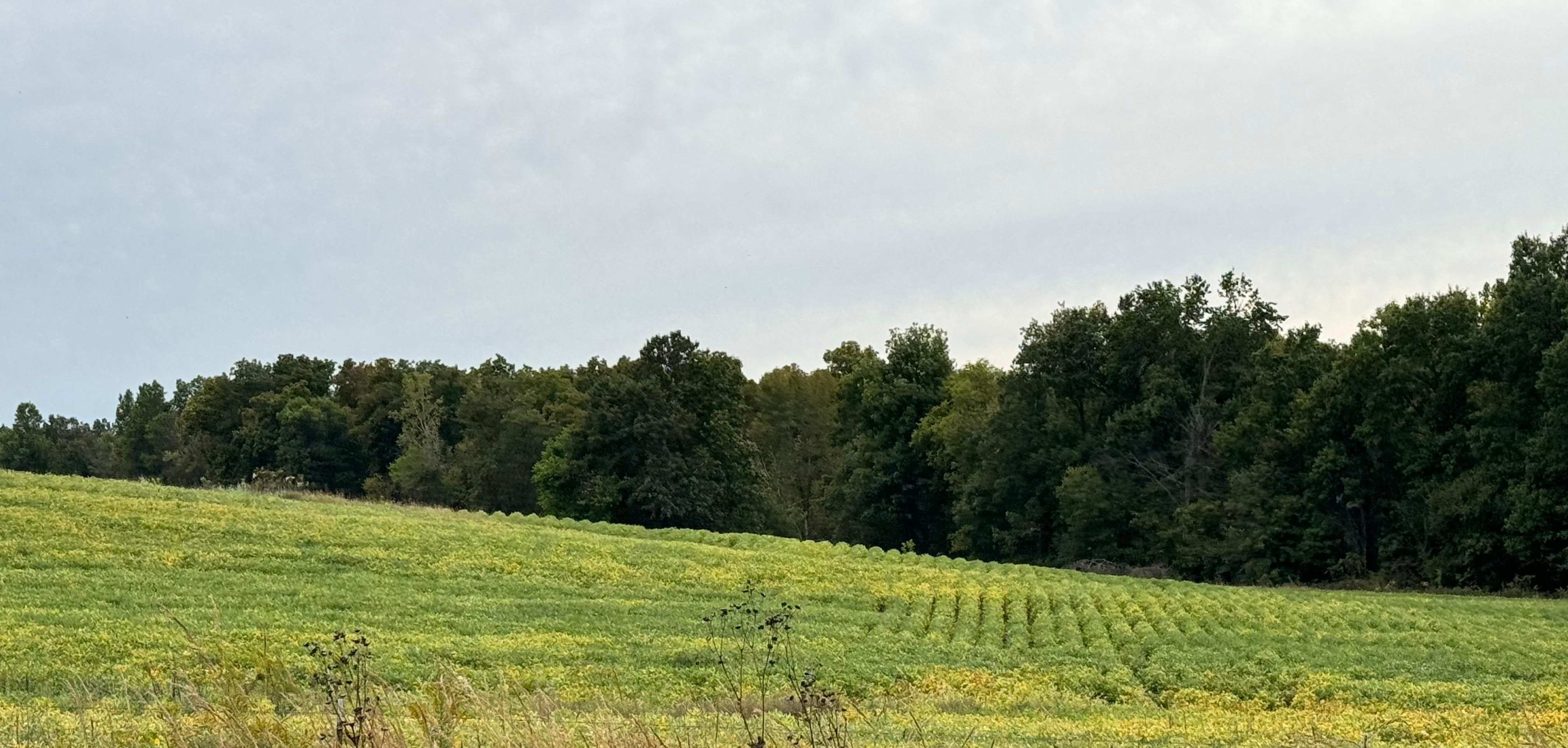 State Highway T, Excello, MO 65247 | LandWatch