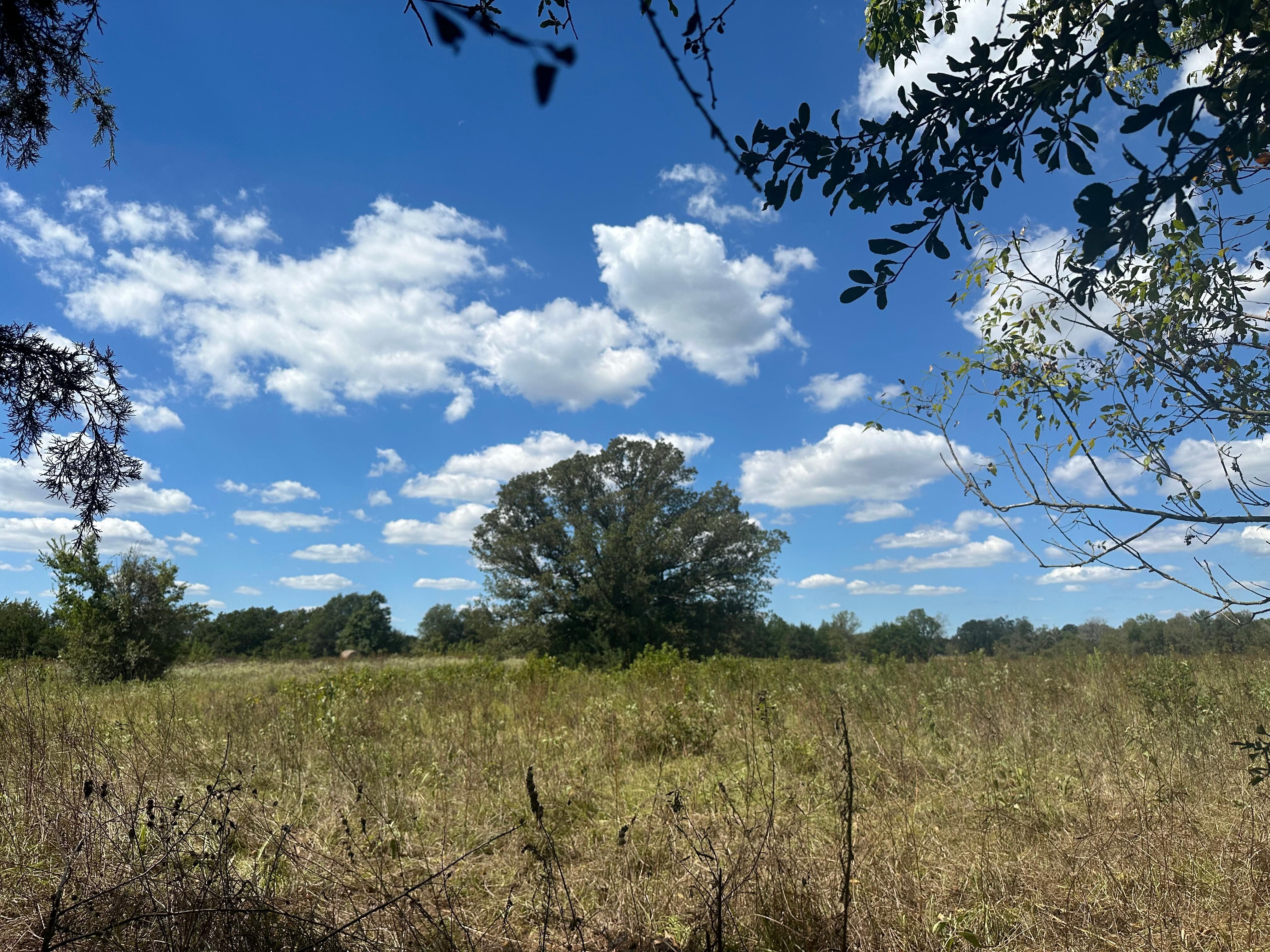 8AC CR 844, Teague, TX 75860 | LandWatch