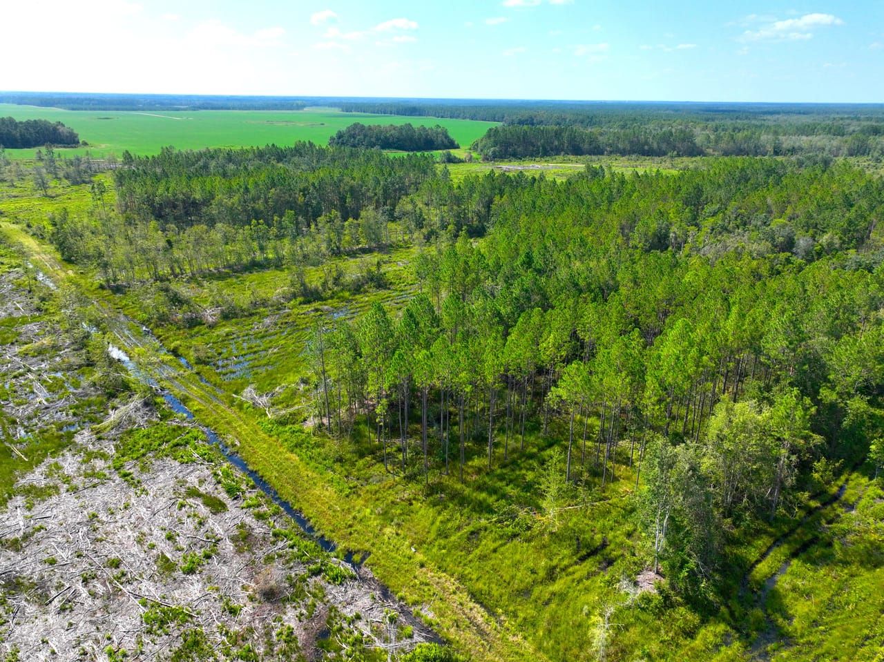 Bill Powell Rd, Pearson, GA 31642 | LandWatch