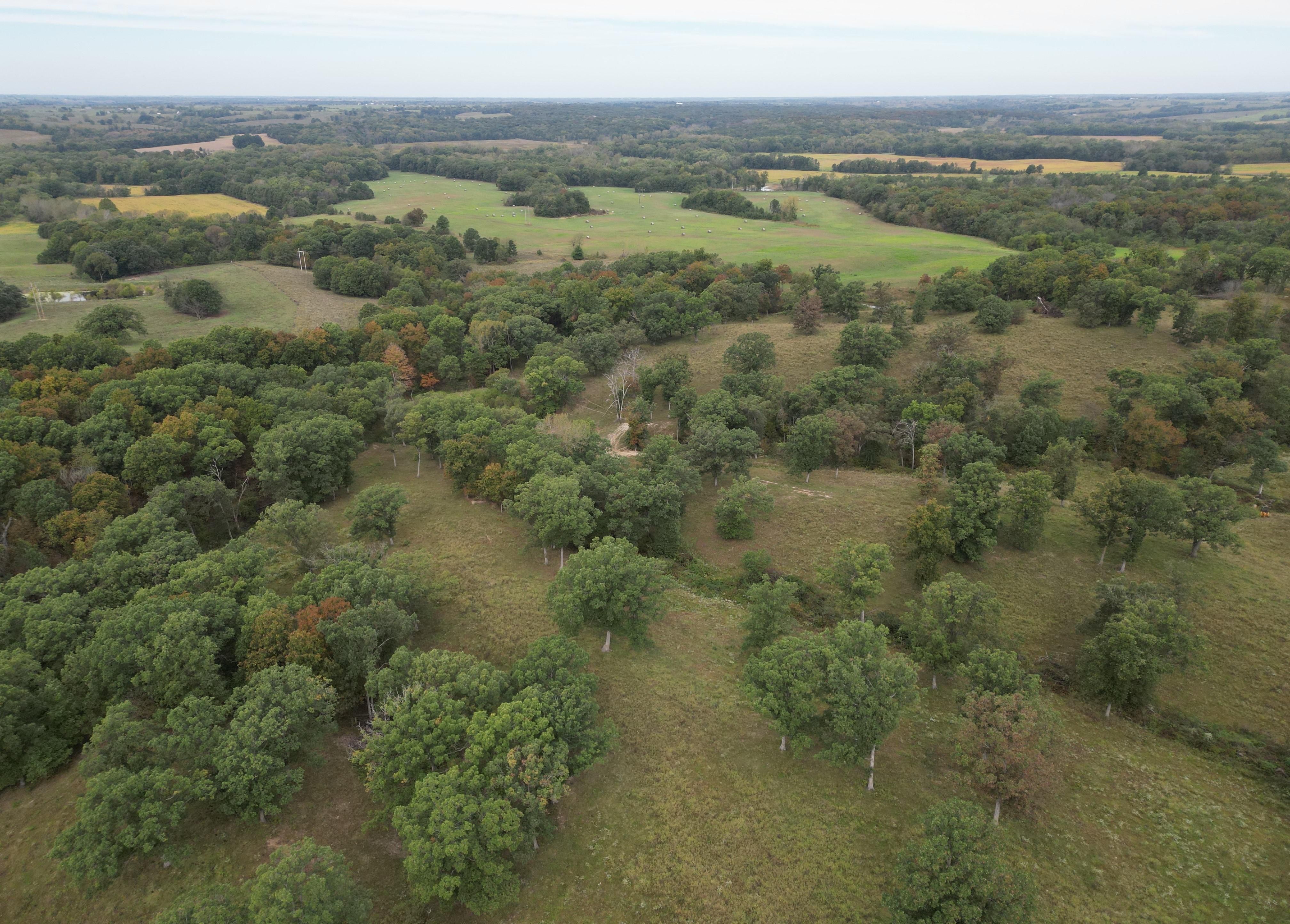 Otter Road, Milan, MO 63556 | LandWatch