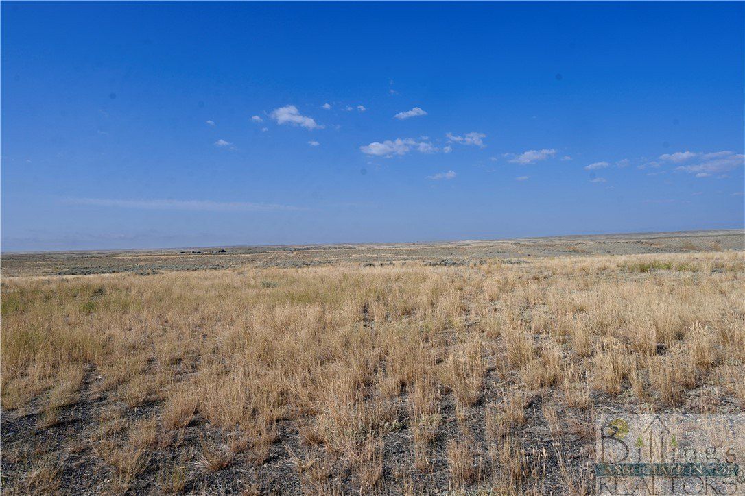 303 Acres Highway 310, Bridger, MT 59014 | MLS: 347888 | LandWatch
