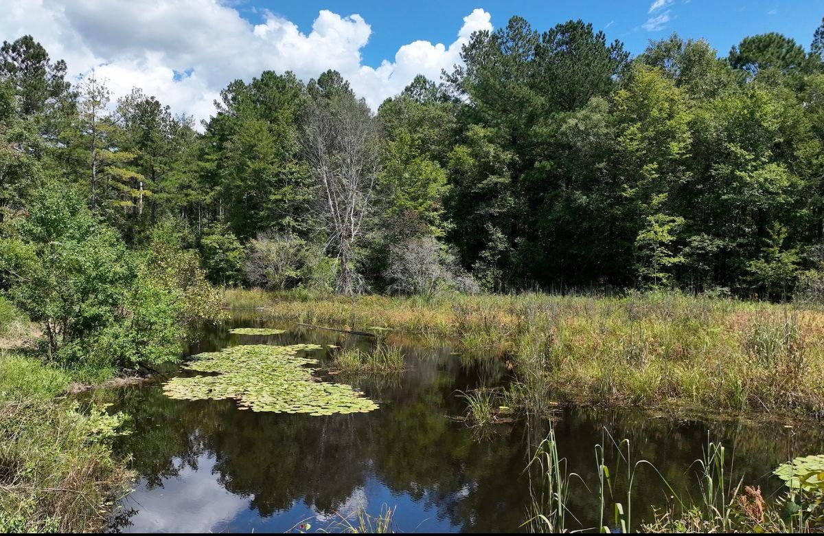 Kewanee Road South, Toomsuba, MS 39364 | LandWatch