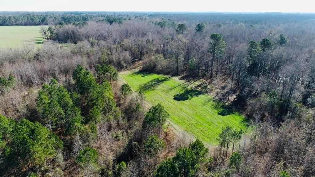 Hwy 25, Perkins, GA 30822 | MLS: Perkins Hunting Retreat | LandWatch