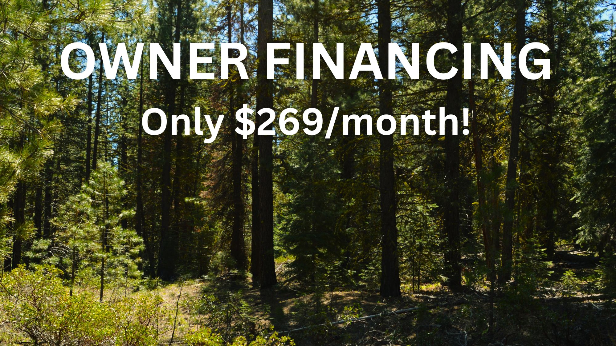 Whitetail Lane, Beatty, OR 97621 | LandWatch