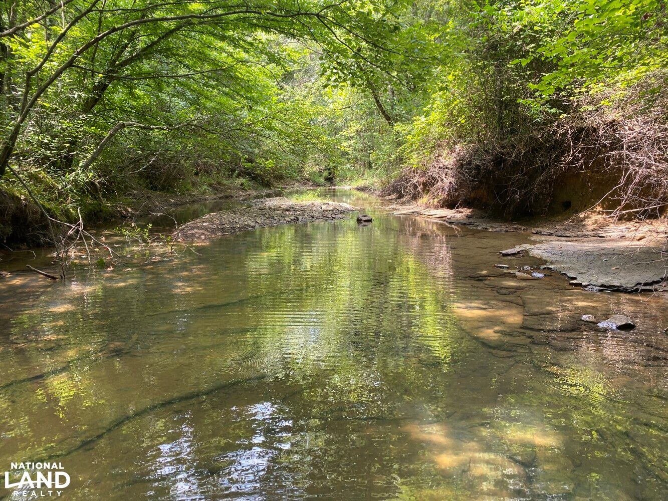 360 Long Lane, Bee Branch, AR 72013 | LandWatch