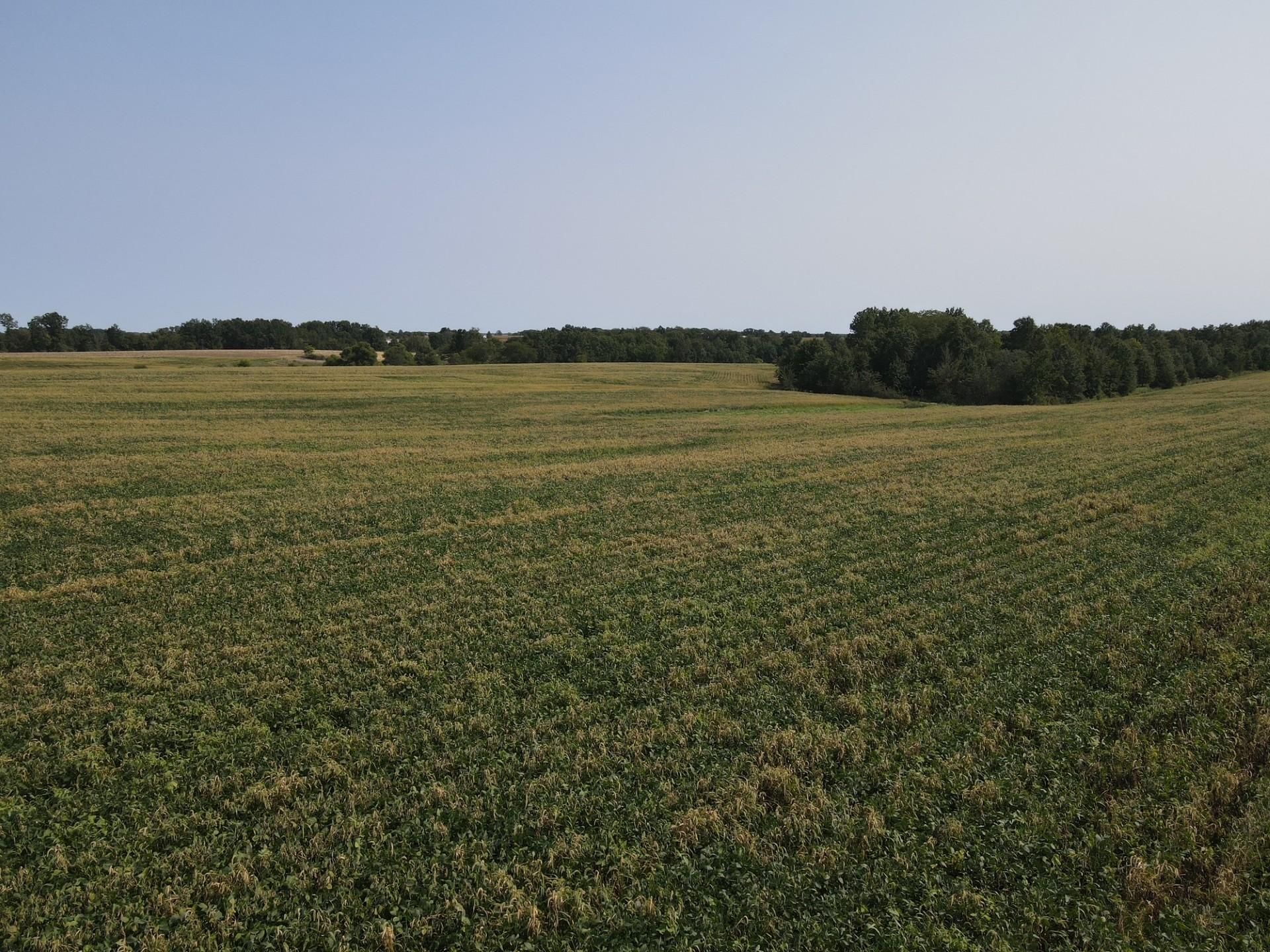 28517 300th St, Pulaski, IA 52584 | LandWatch