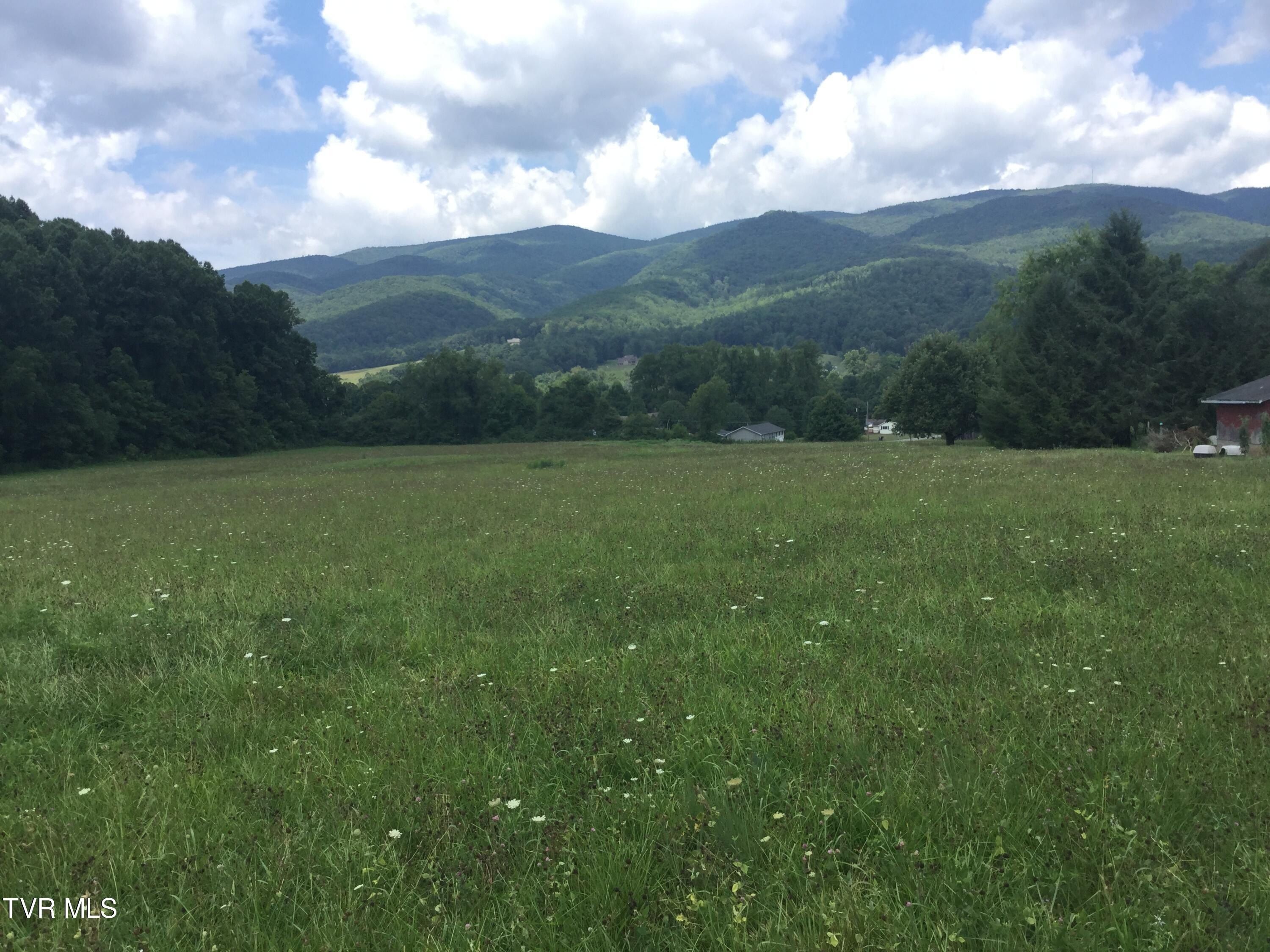 153 Murphy Lane, Elizabethton, TN 37643 | MLS: 9971838 | LandWatch