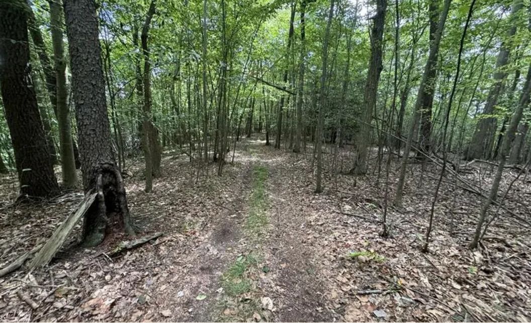 Coon Ridge Road, Johnstown, PA 15905 | LandWatch