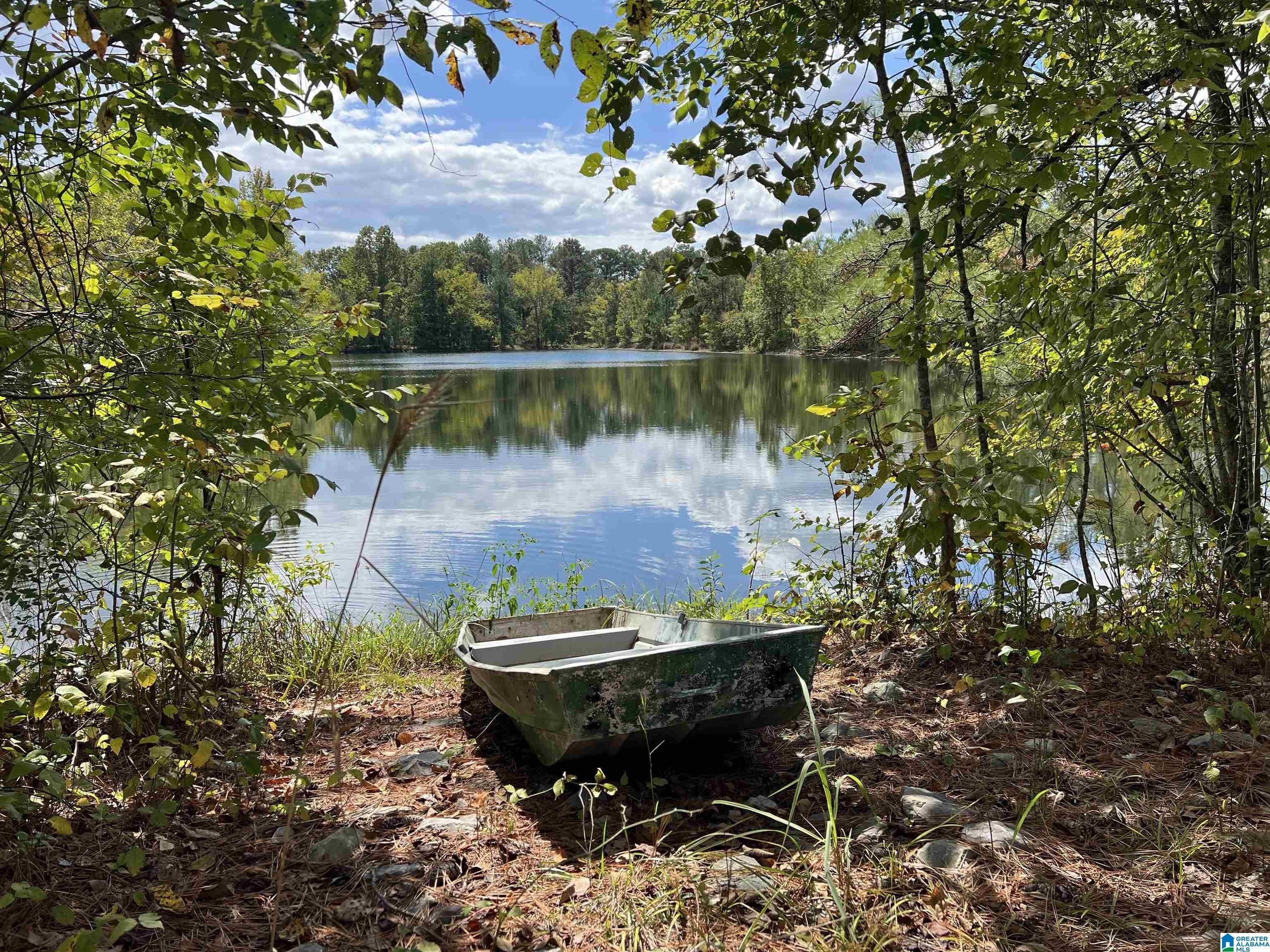 0 SWEATT ROAD, Ashville, AL 35953 | MLS: 21398227 | LandWatch