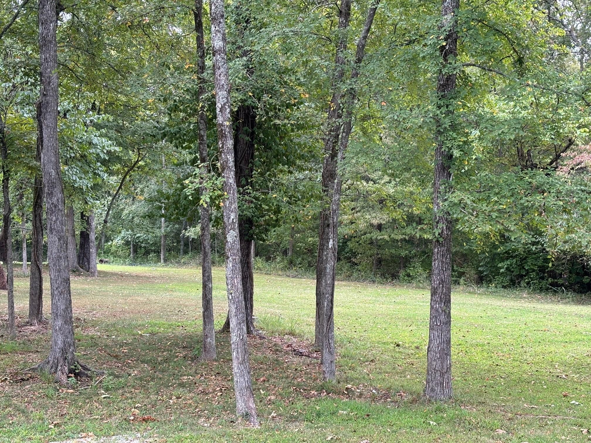 000 S Hickory St., Forsyth, MO 65653 | MLS: GSBOR-60277797 | LandWatch