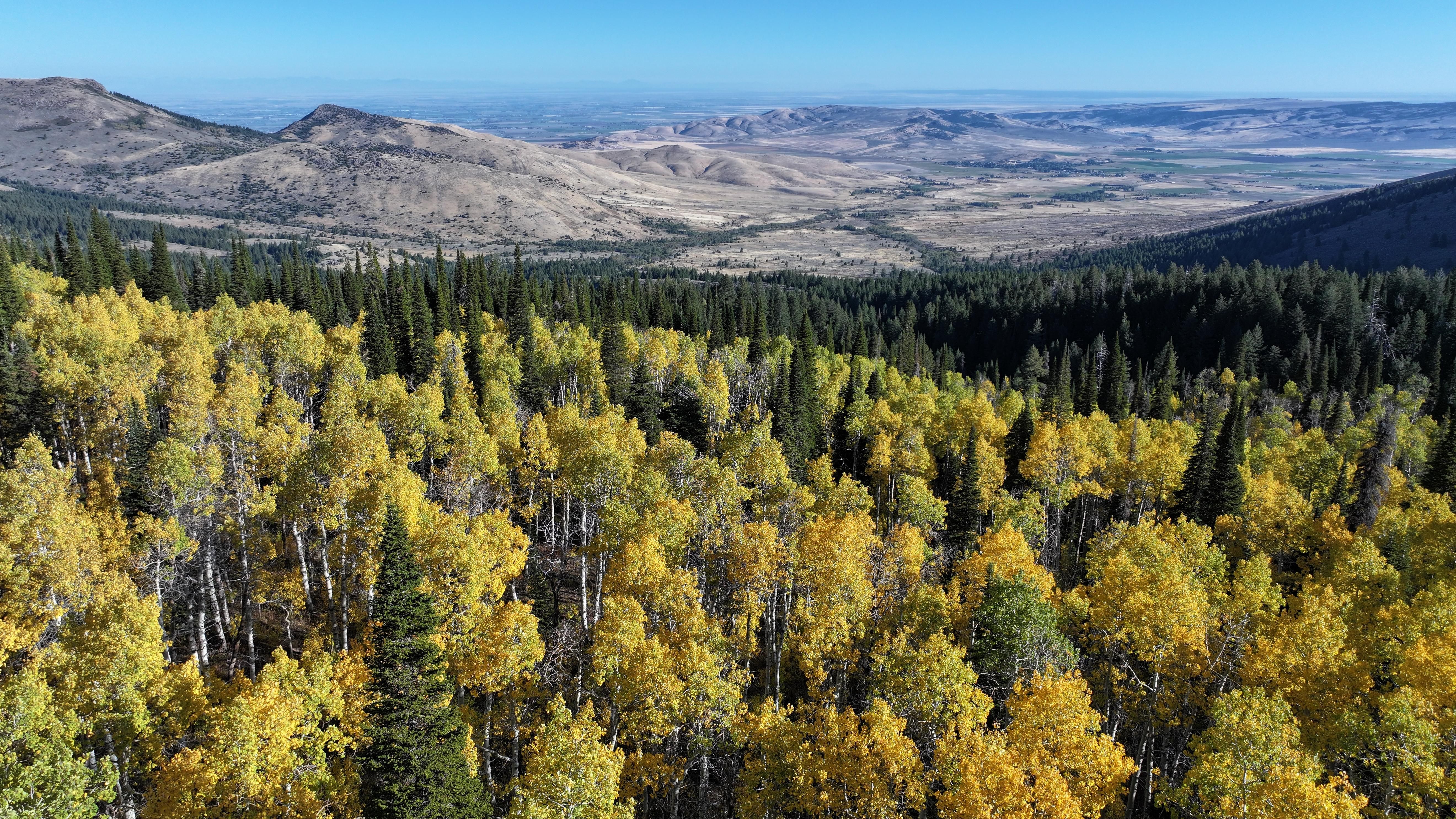 TBD, Albion, ID 83311 | LandWatch