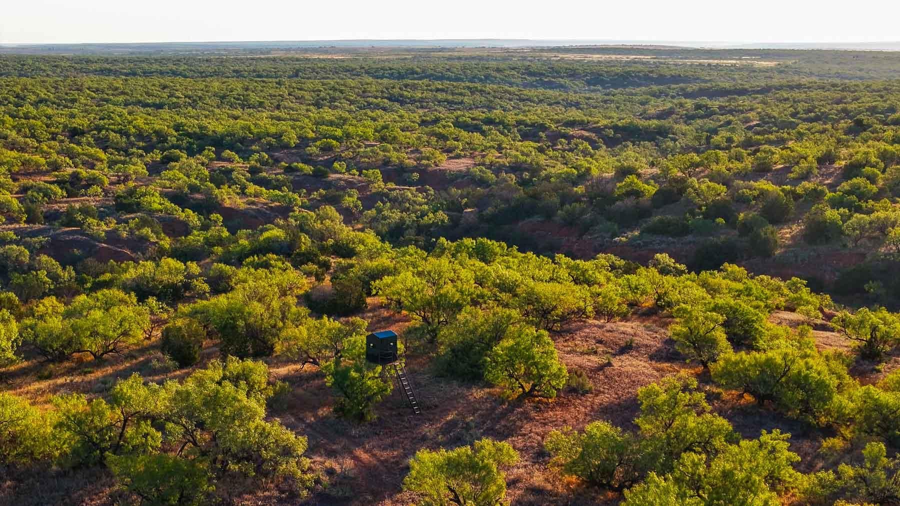 2,250 acres in Paducah, TX, 79248 | LandWatch