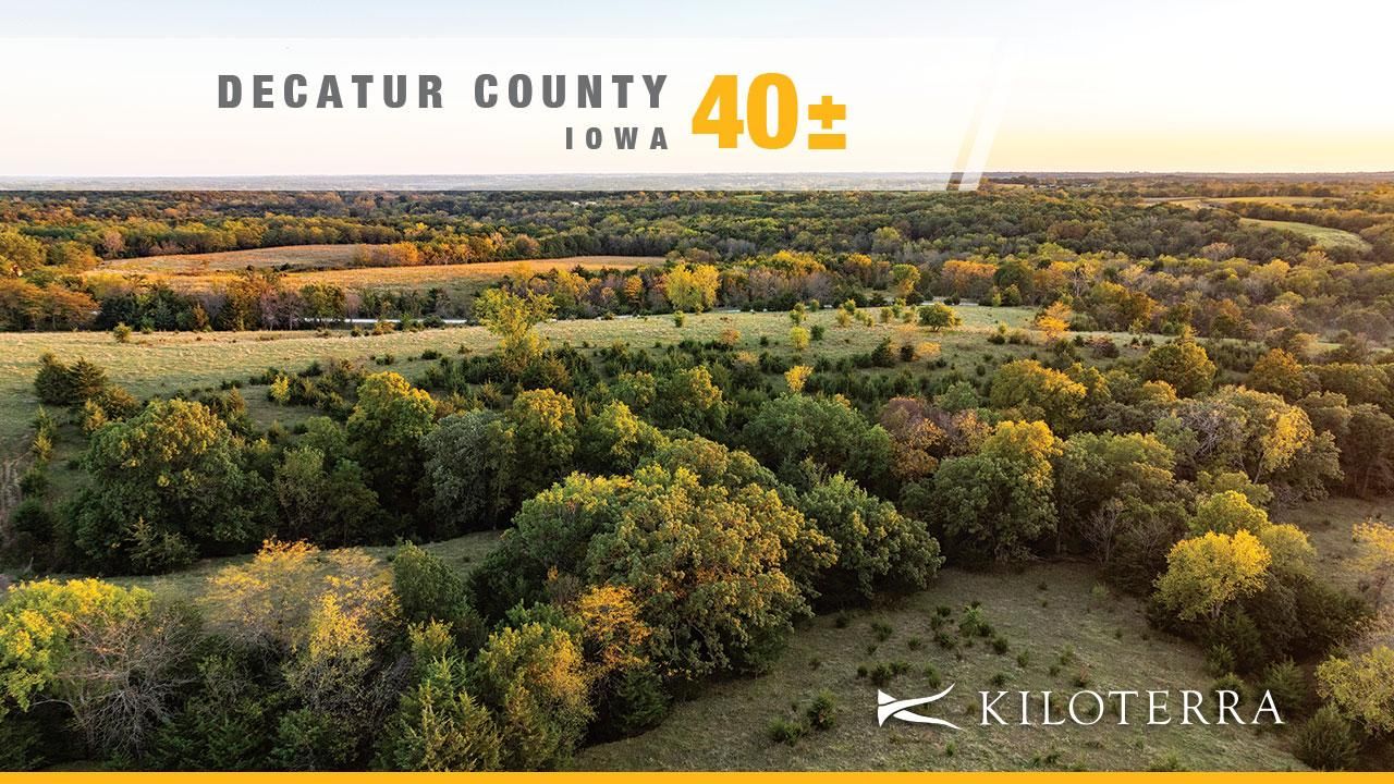 40 acres in Lineville, IA, 50147 | MLS: 705520 | LandWatch