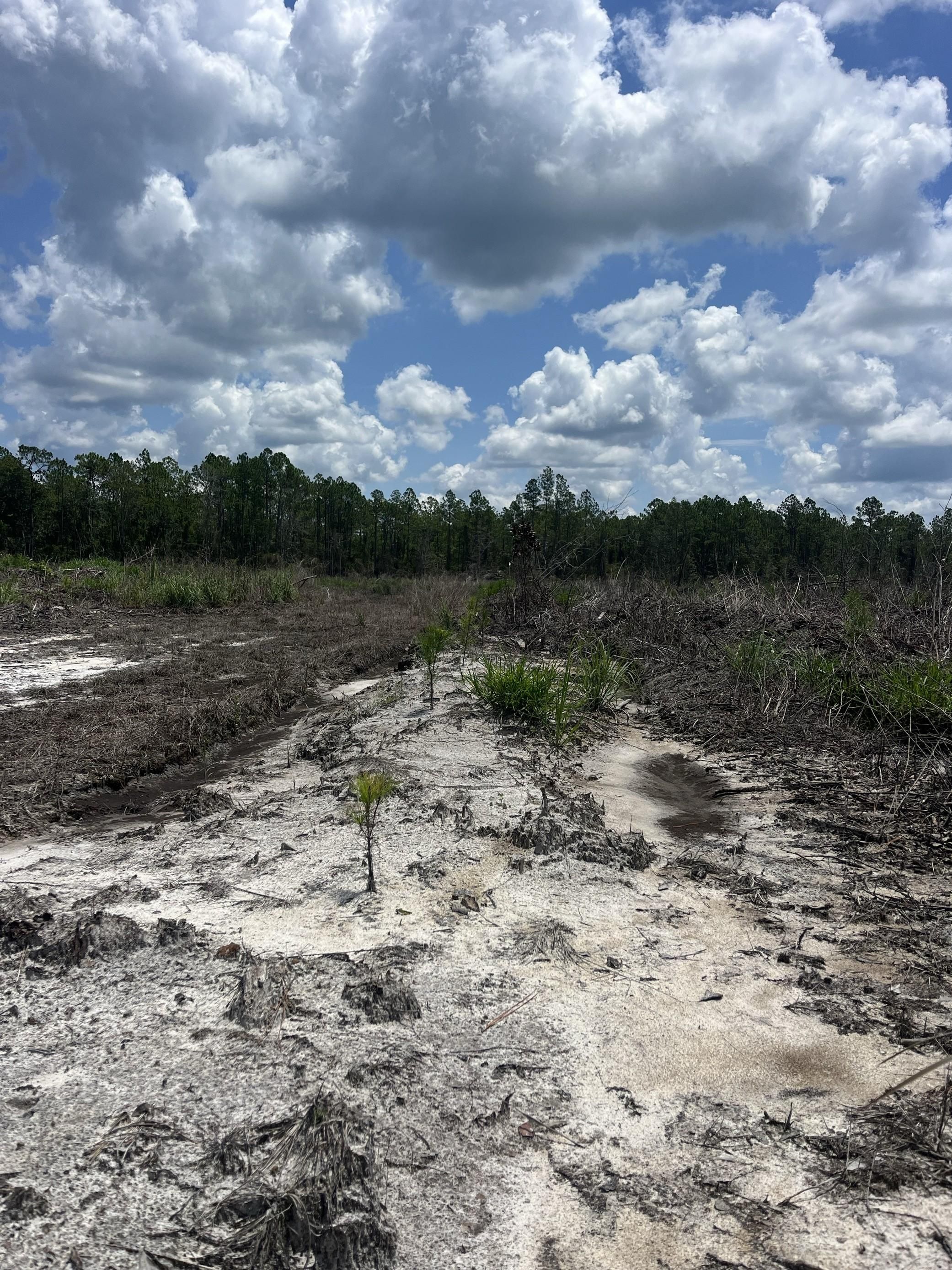 U.S. 82, Nahunta, GA 31553 | LandWatch