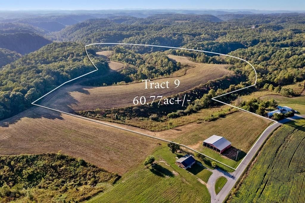 3145 Pea Ridge Rd - Lot 9, Liberty, TN 37095 | MLS: 231435 | LandWatch