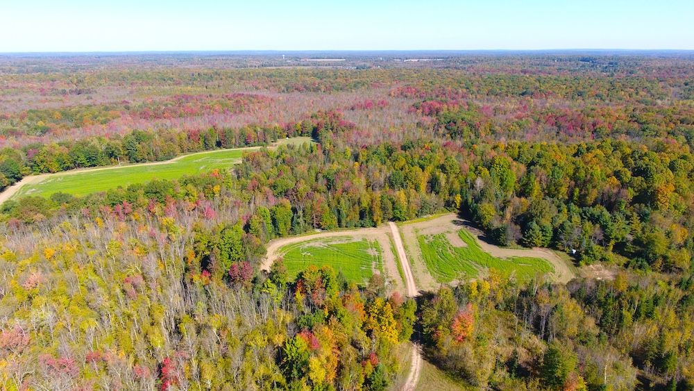 N6855 Trinko Lane, Bowler, WI 54416 | LandWatch